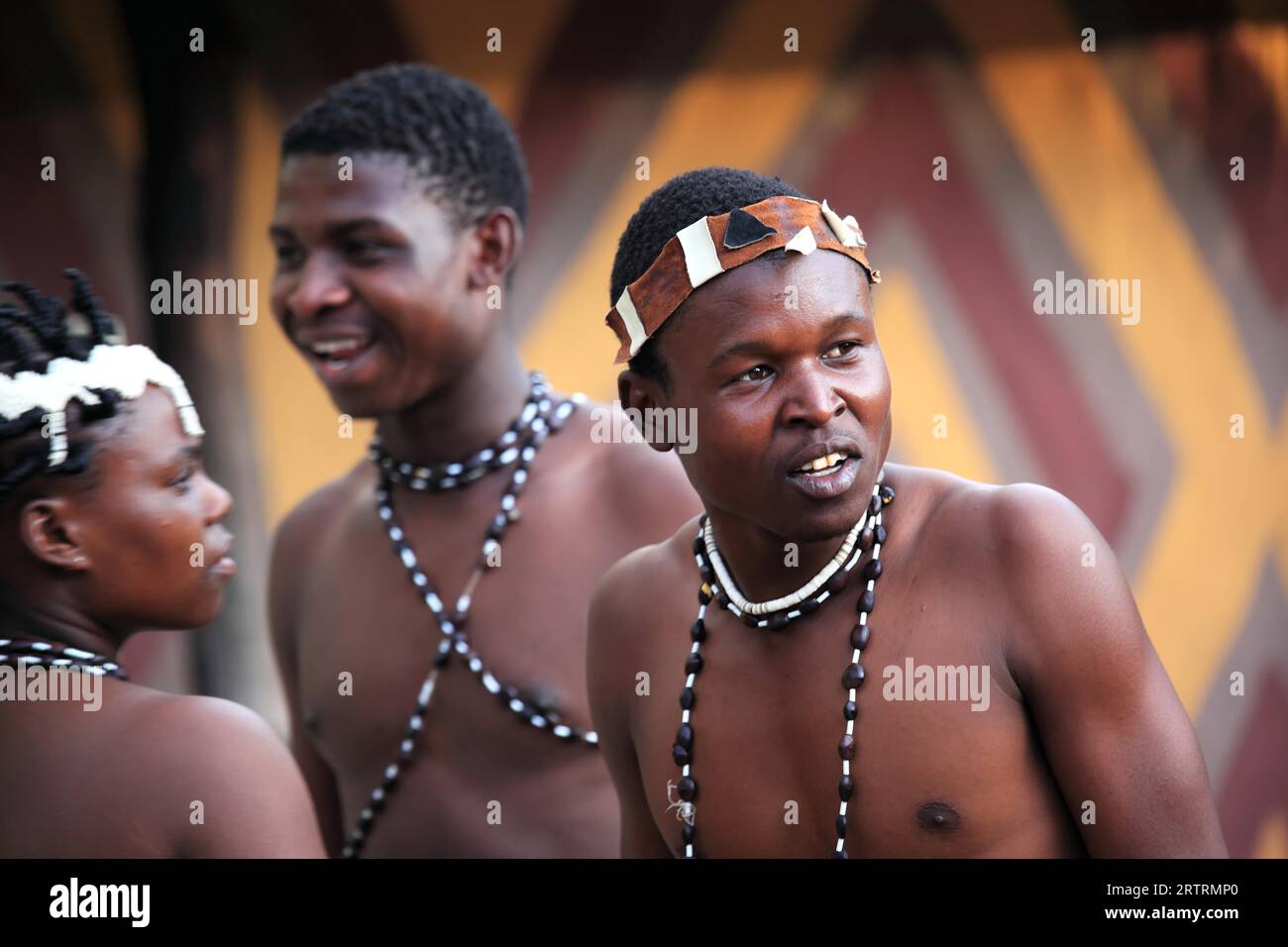 Traditional dancers botswana Banque de photographies et d’images à ...