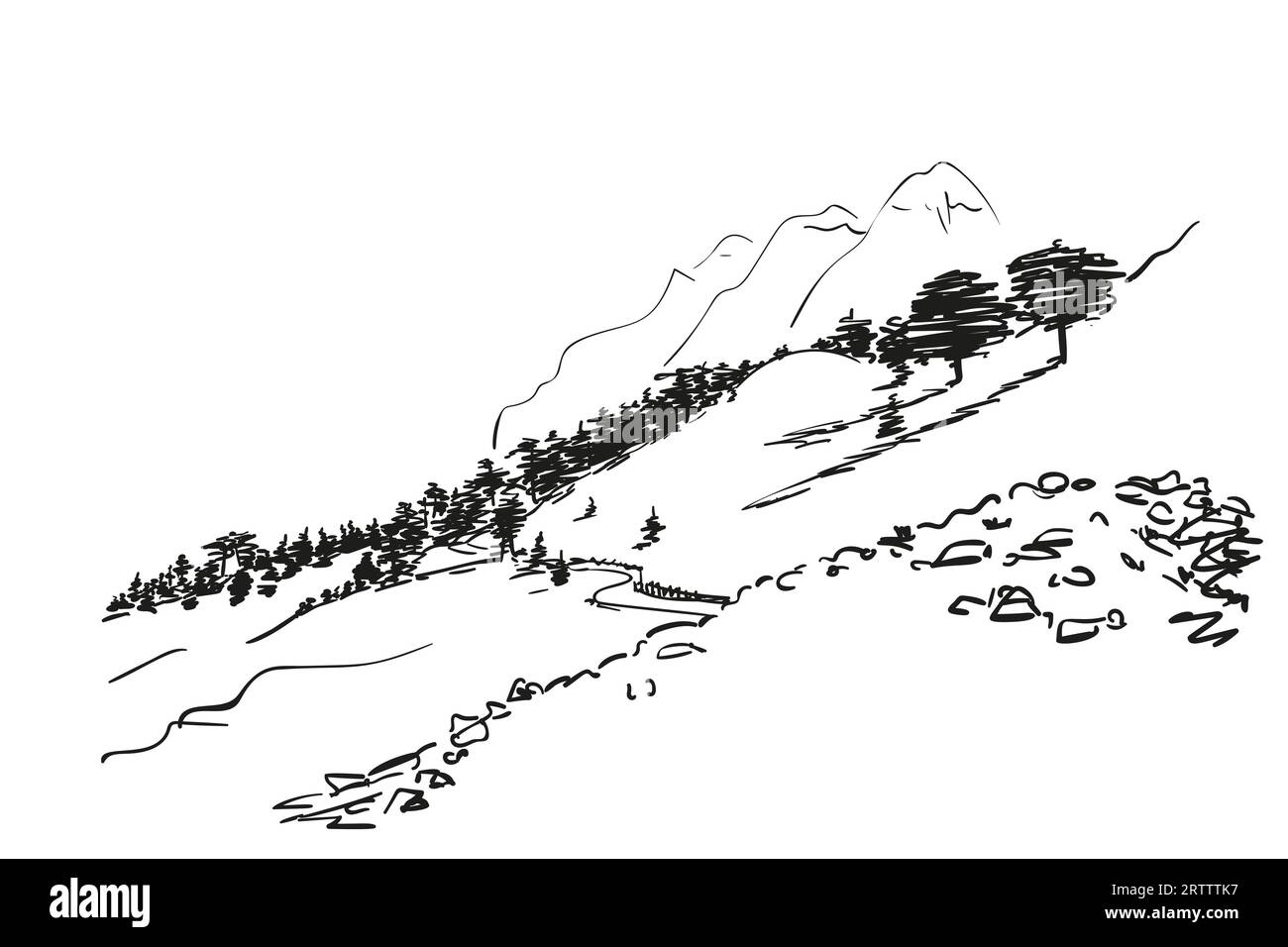 Vegetation sparse Banque d'images vectorielles - Alamy