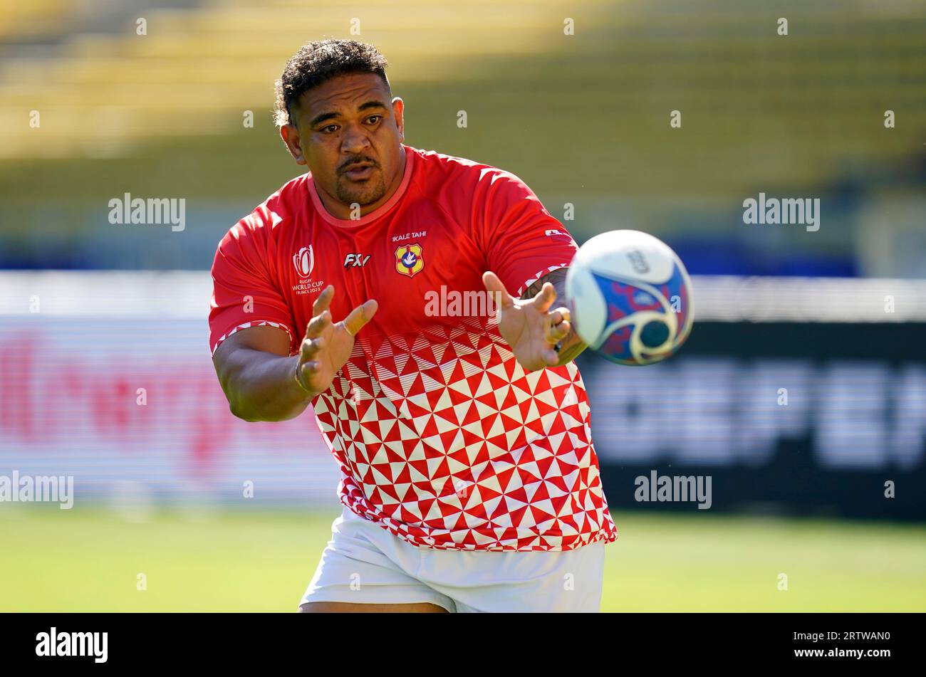 Tongas siegfried fisiihoi Banque de photographies et d’images à haute ...