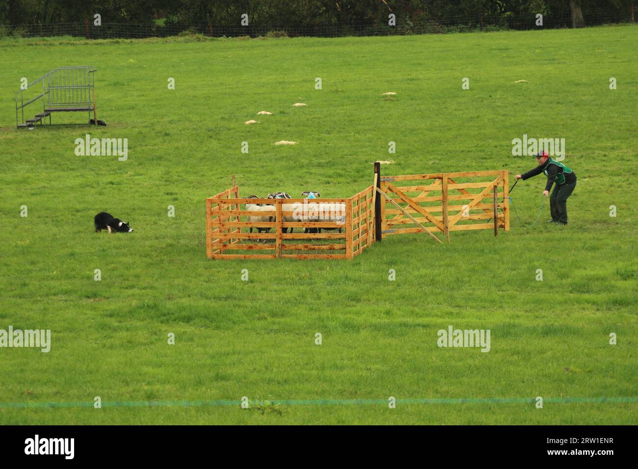 Oliver watson Banque de photographies et d’images à haute résolution ...