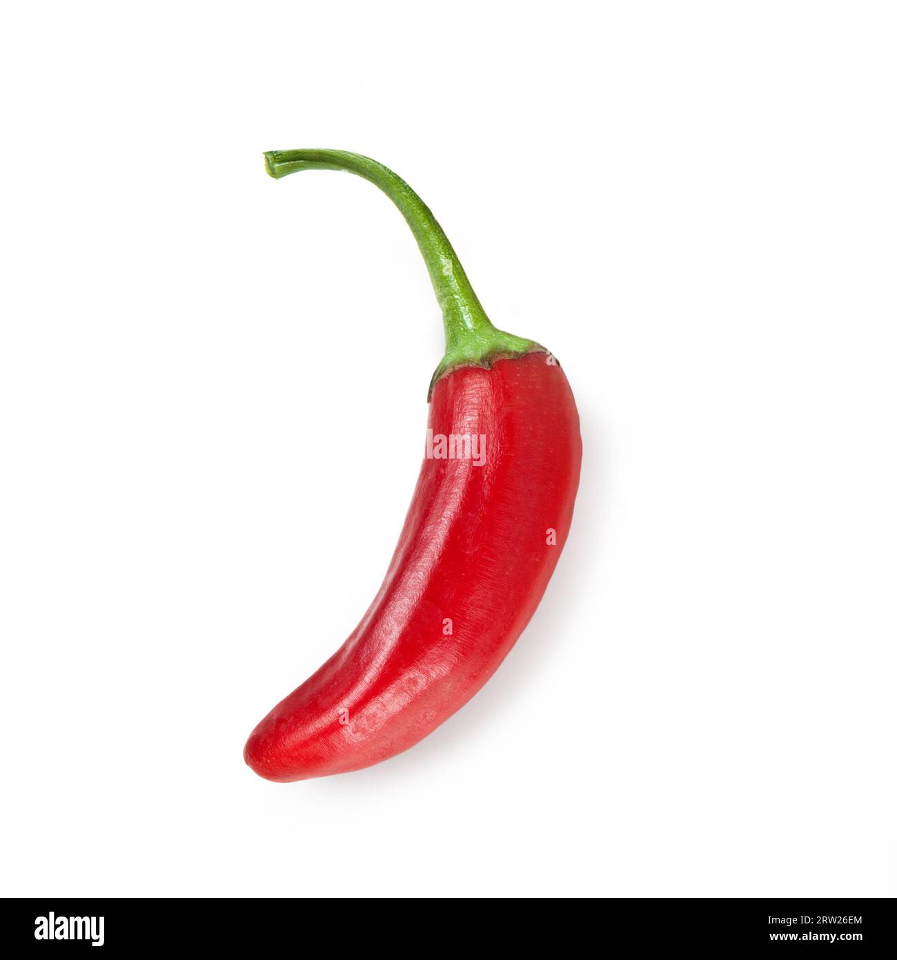 Plante de piment jalapeno rouge Banque de photographies et d’images à ...