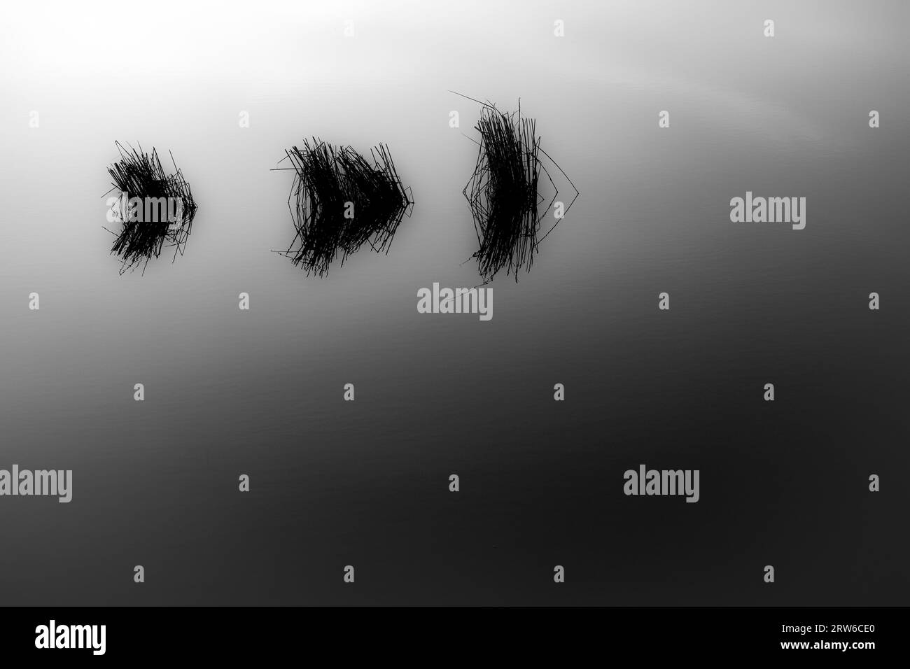 âme perdue Banque de photographies et d’images à haute résolution - Alamy