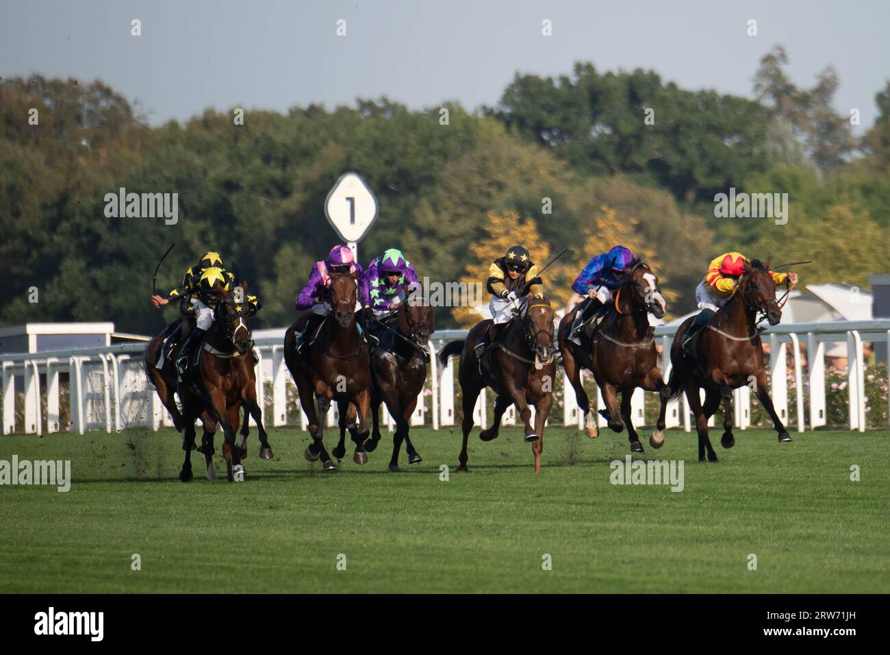 Ascot, Berkshire, Royaume-Uni. 9 septembre 2023. Horse Call Me Ginger ...