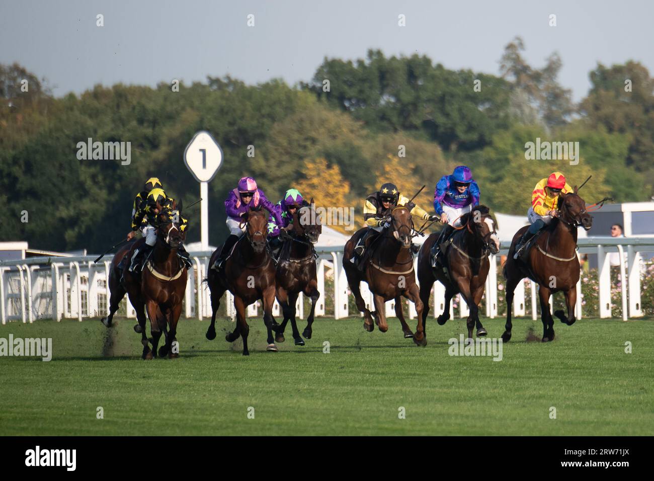 Ascot, Berkshire, Royaume-Uni. 9 septembre 2023. Horse Call Me Ginger ...