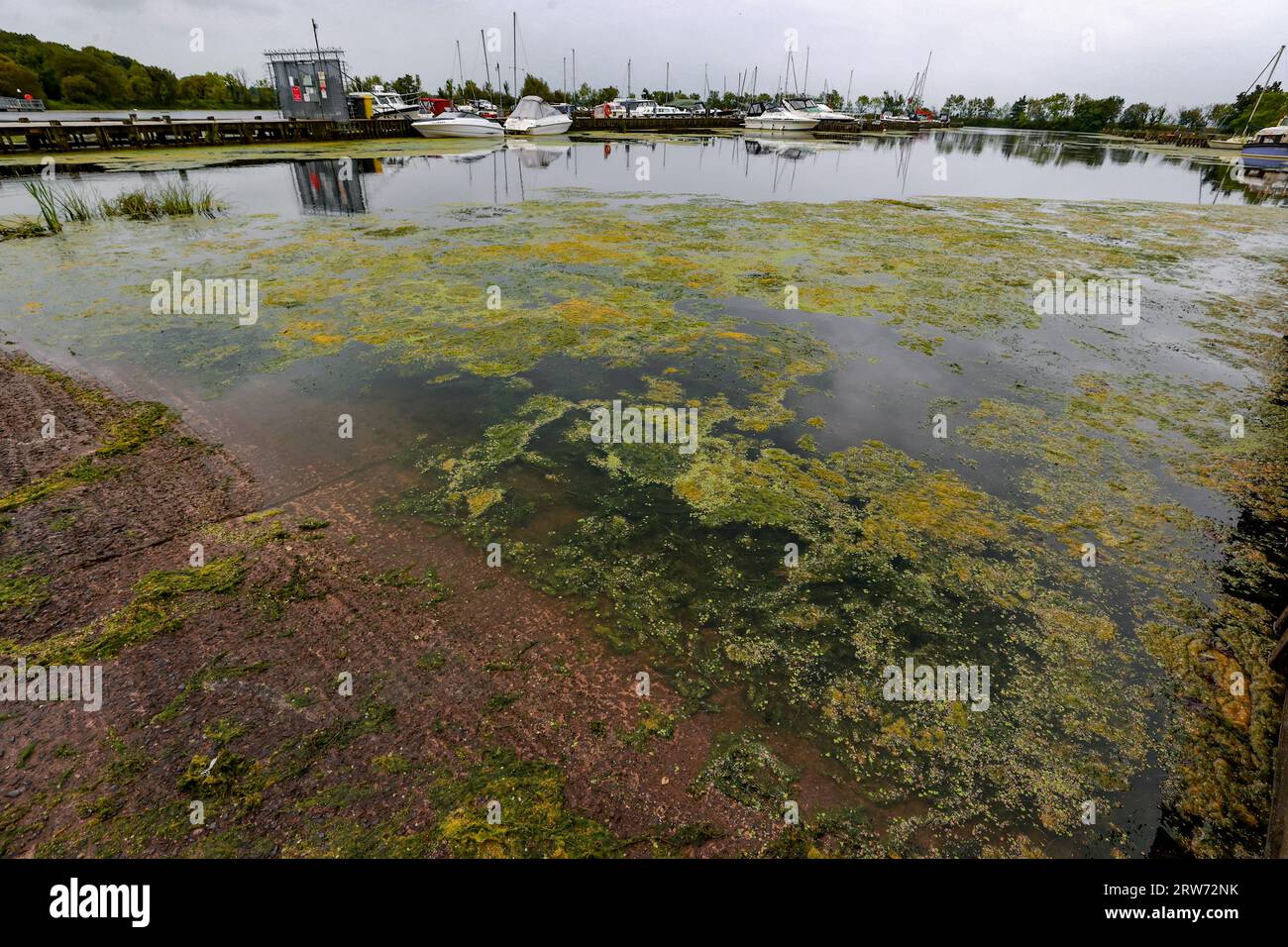 Ballyronan marina Banque de photographies et d’images à haute ...