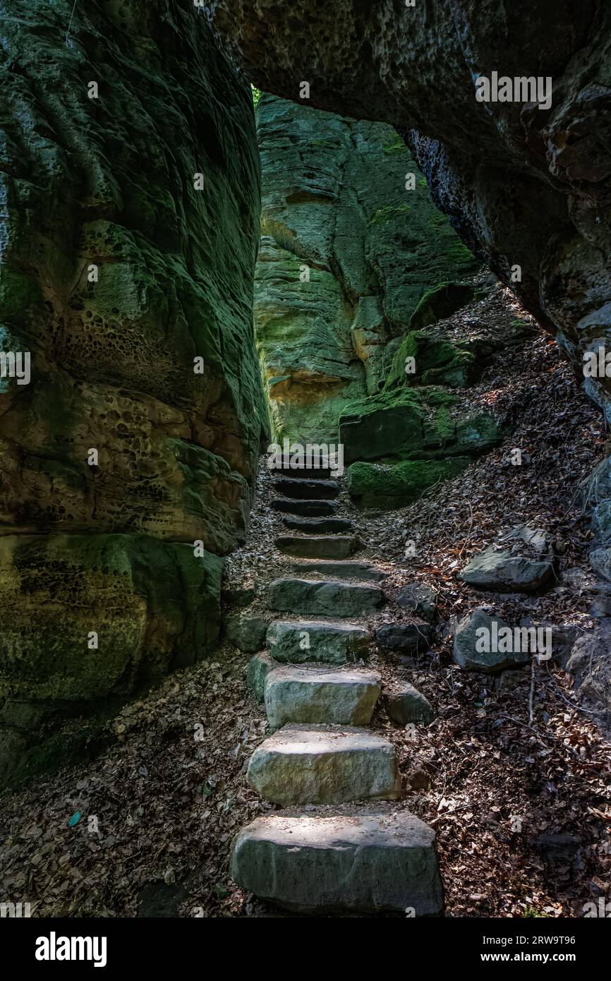 La belle nature dans la région de Mullerthal au Luxembourg, avec les ...