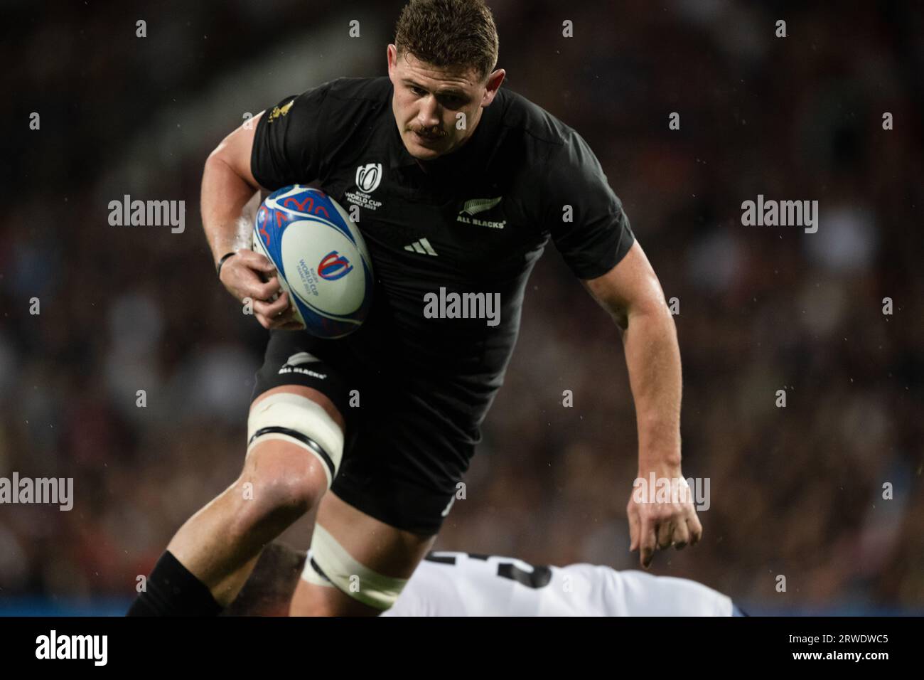 Dalton papalii Banque de photographies et d’images à haute résolution ...