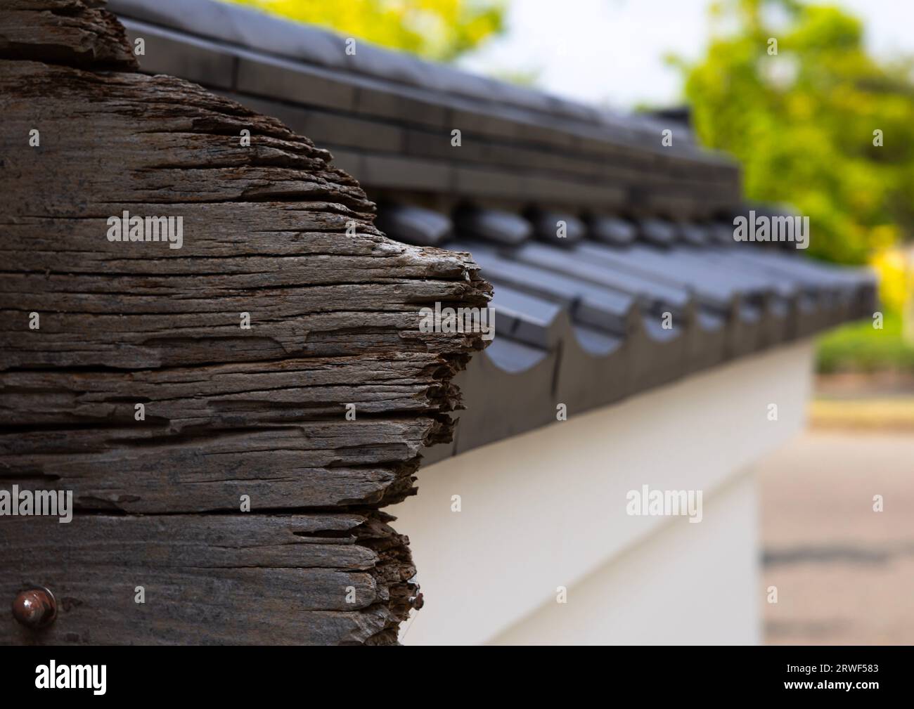 Ohori koen Banque de photographies et d’images à haute résolution - Alamy