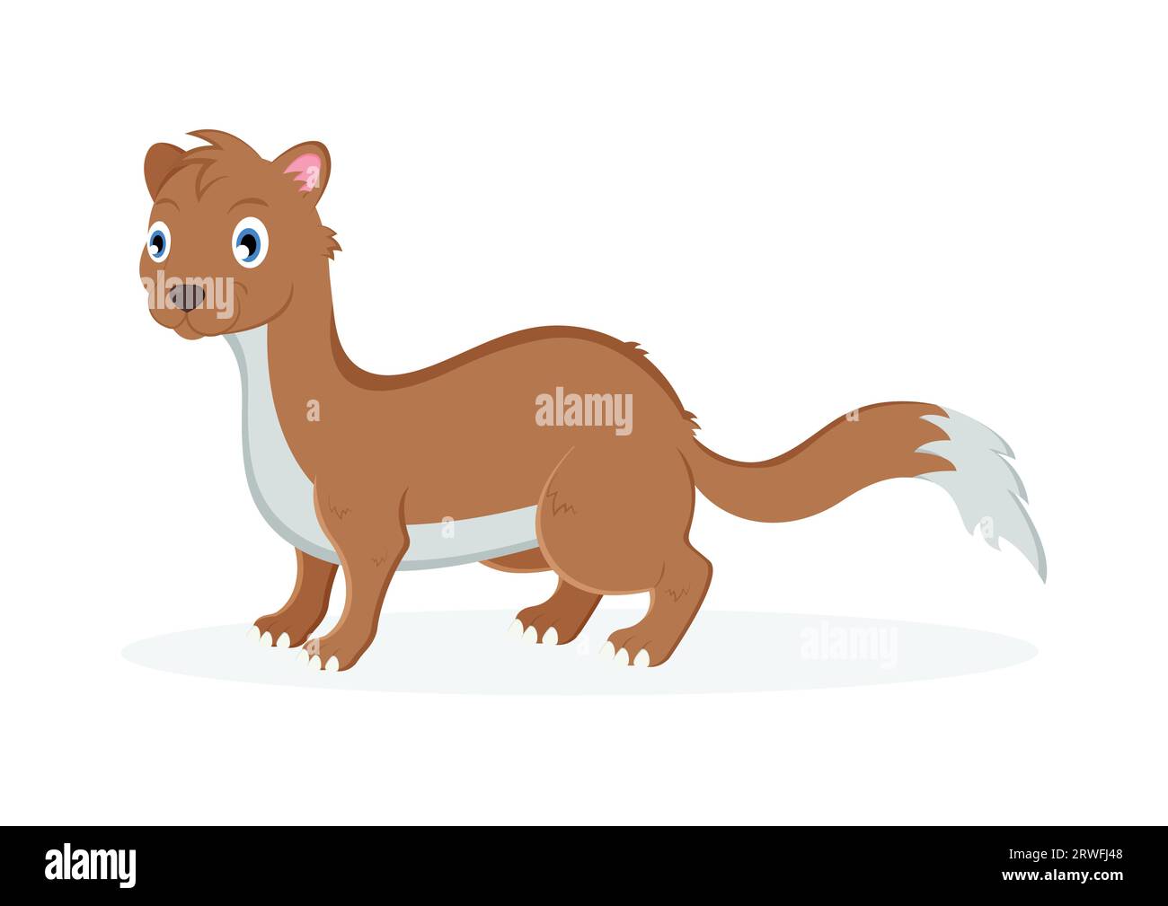 Fouine sauvage Banque d'images détourées - Alamy