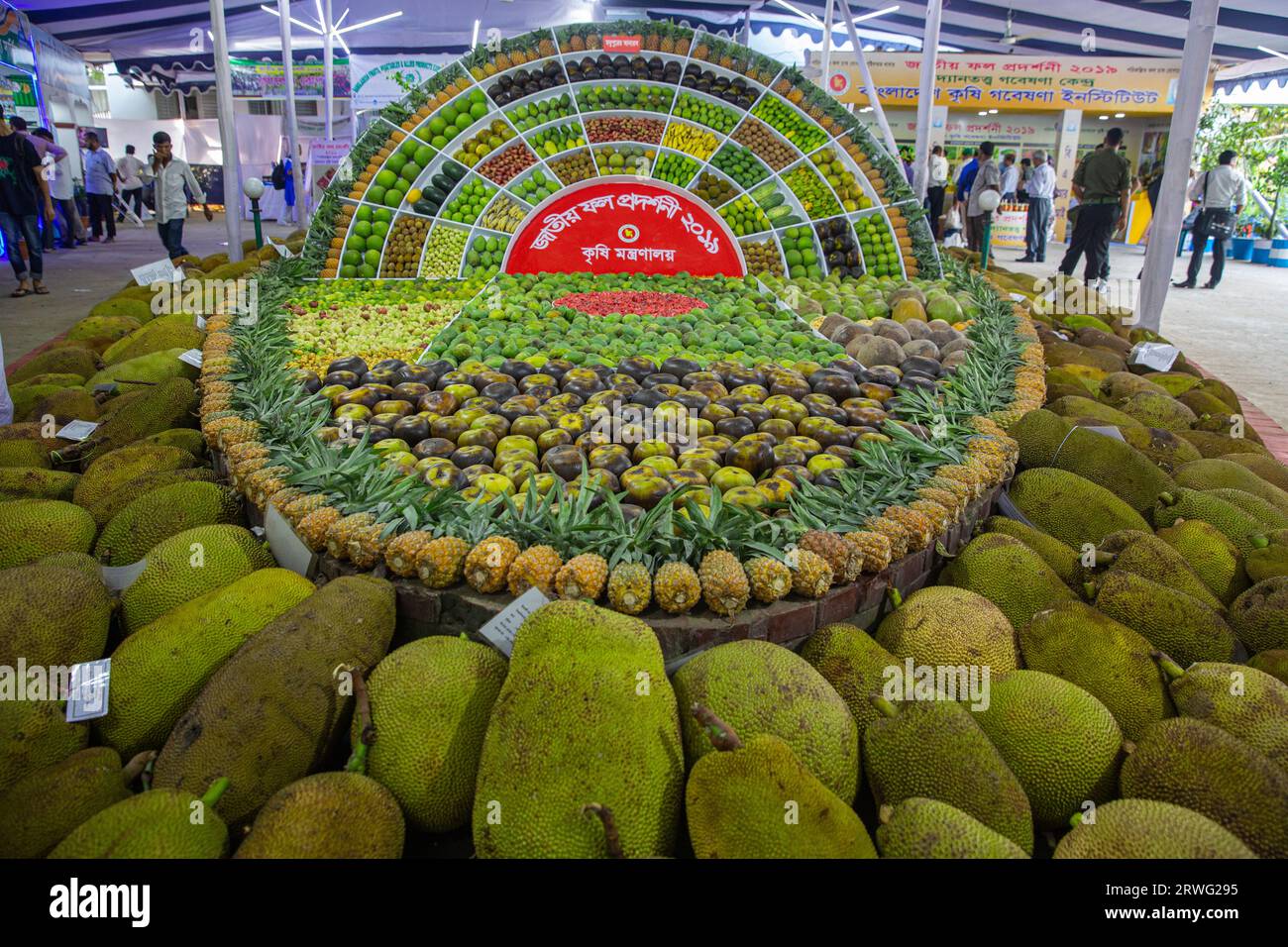 Différents types de fruits exposés au Festival national des fruits ...