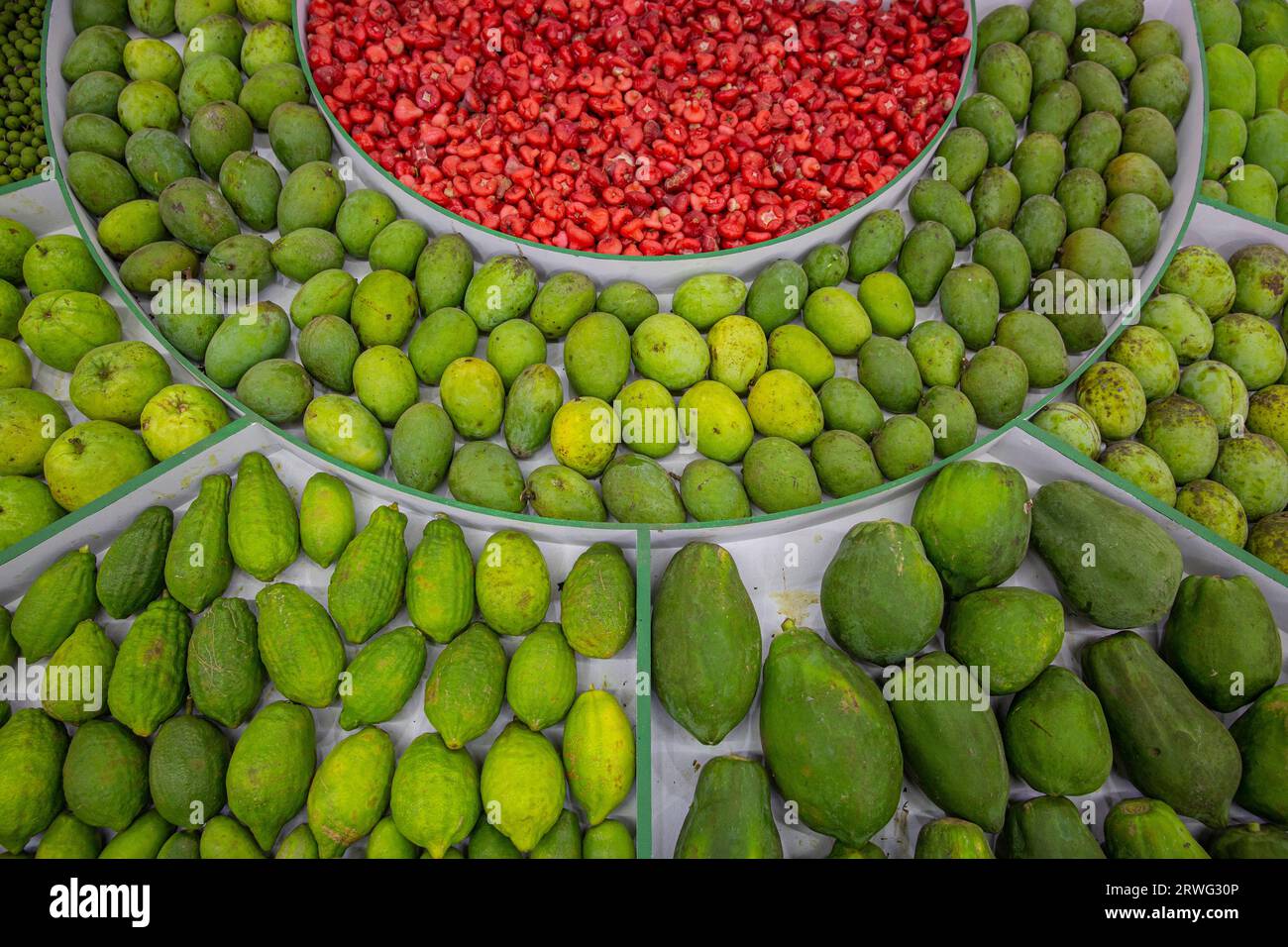 Différents types de fruits exposés au Festival national des fruits ...