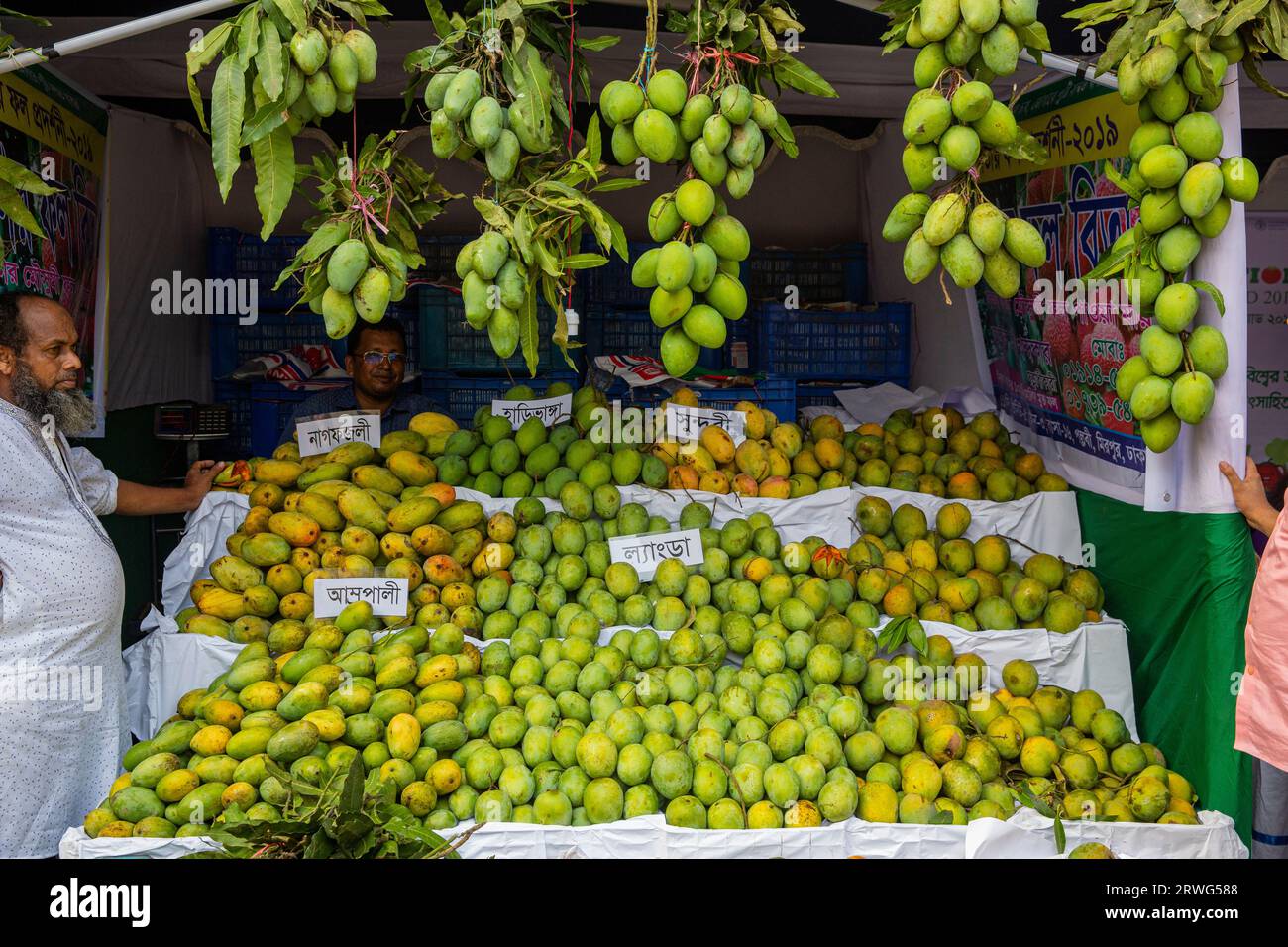Différents types de mangues exposés au Festival national des fruits ...