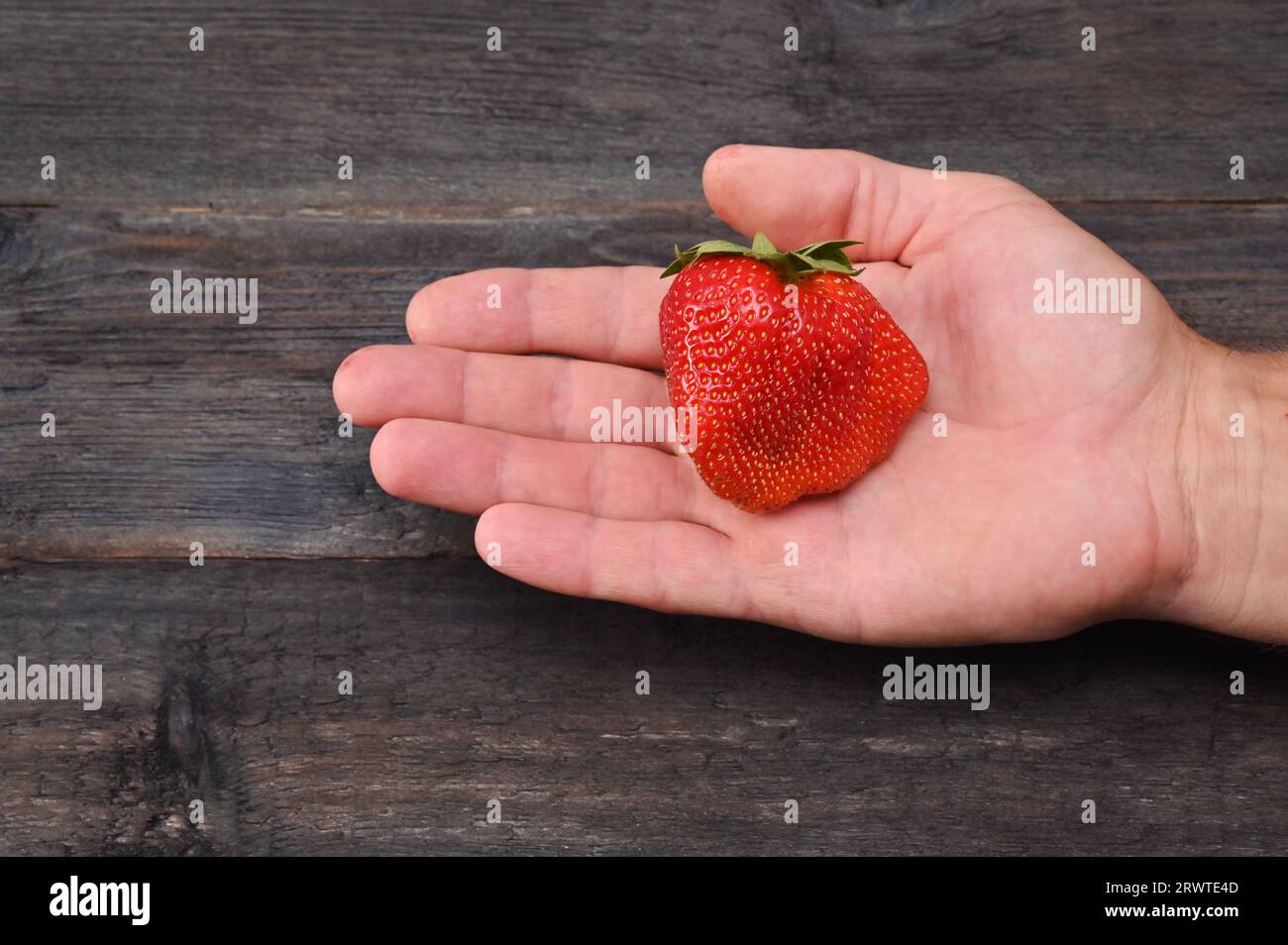 Grosse fraise Banque de photographies et d’images à haute résolution ...