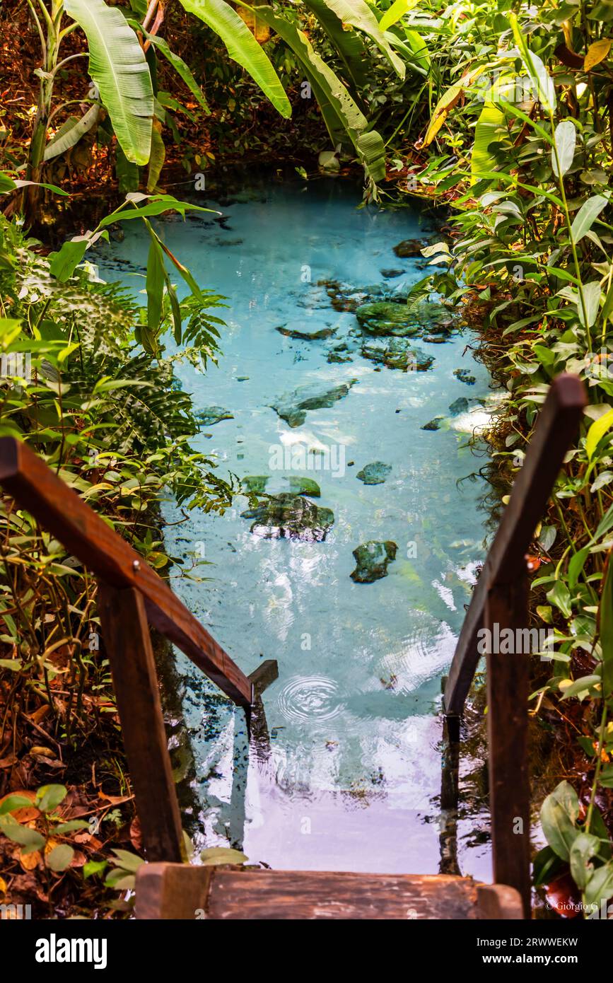 Eau transparente rivière Banque de photographies et d’images à haute ...