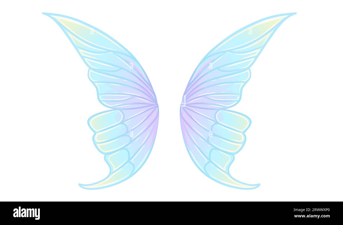 Magie belles ailes de fée illustration vectorielle de style dessin ...