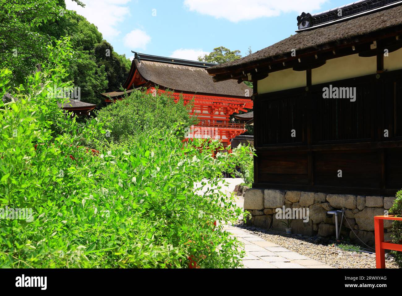 Shimogamo jinja Banque de photographies et d’images à haute résolution - Alamy