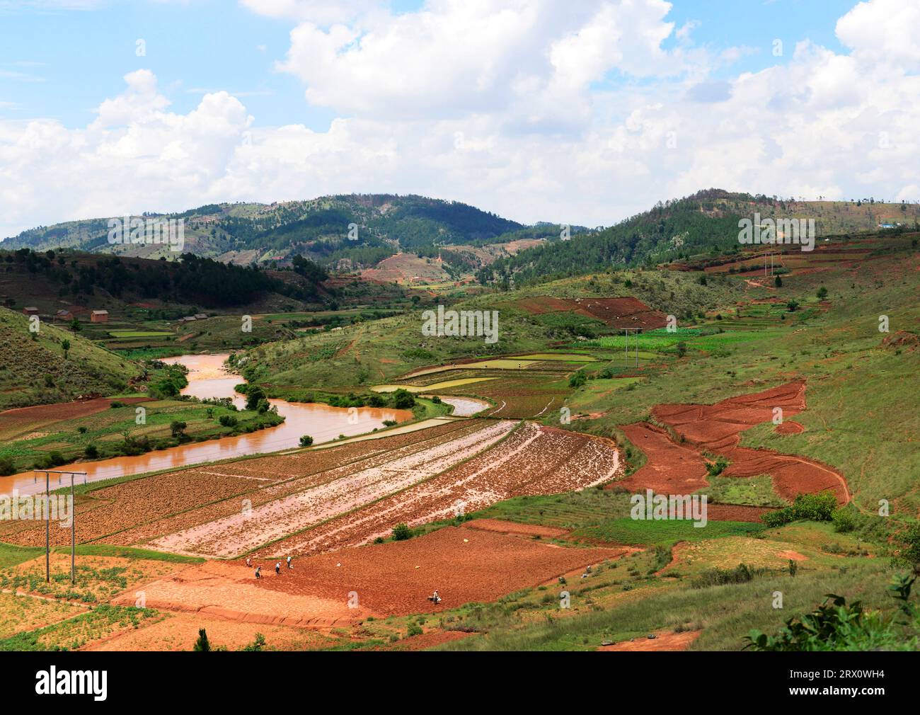 Paysage de rizière madagascar Banque de photographies et d’images à ...