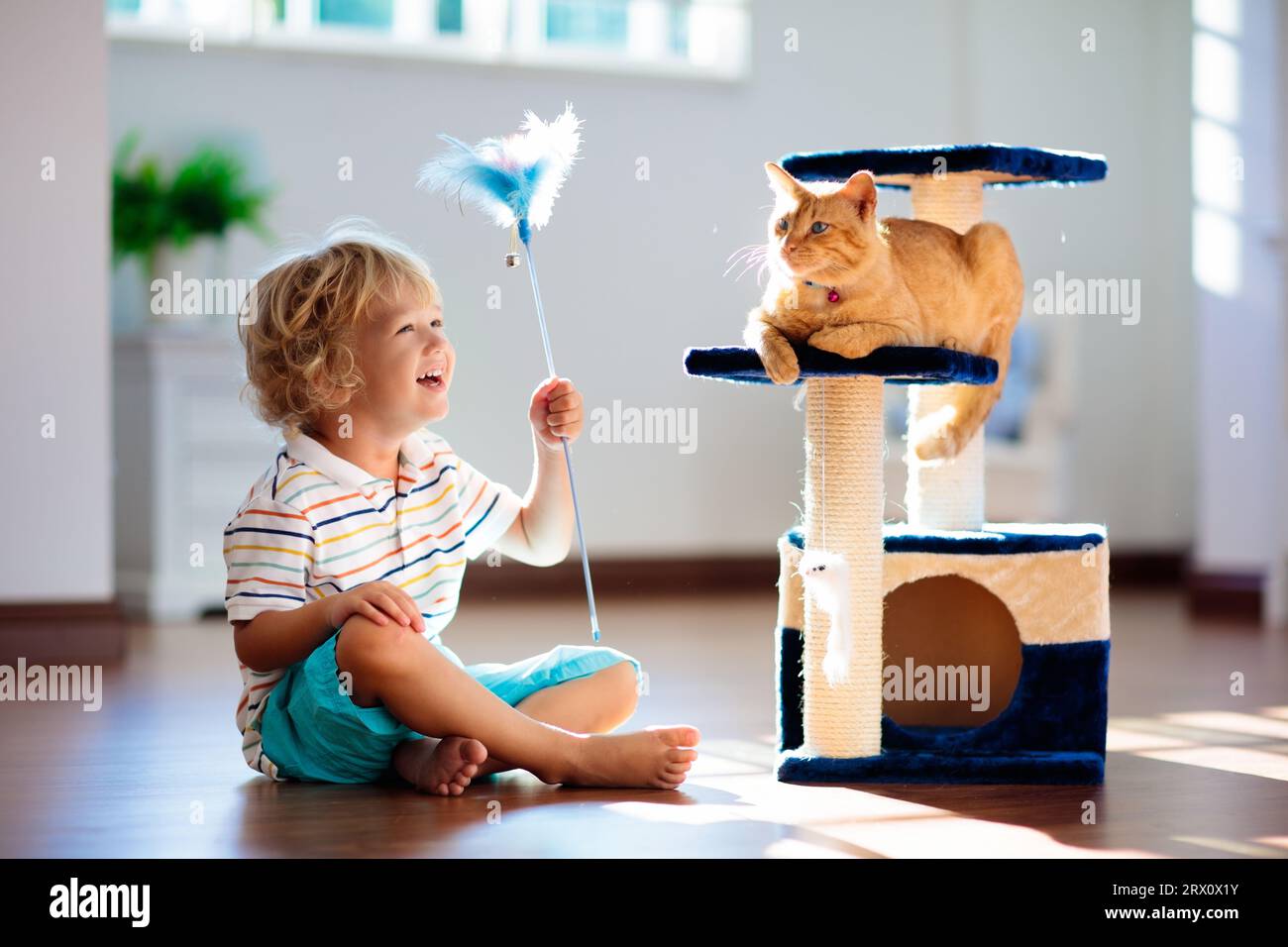 Enfant jouant avec cat à la maison. Des enfants et des animaux de ...