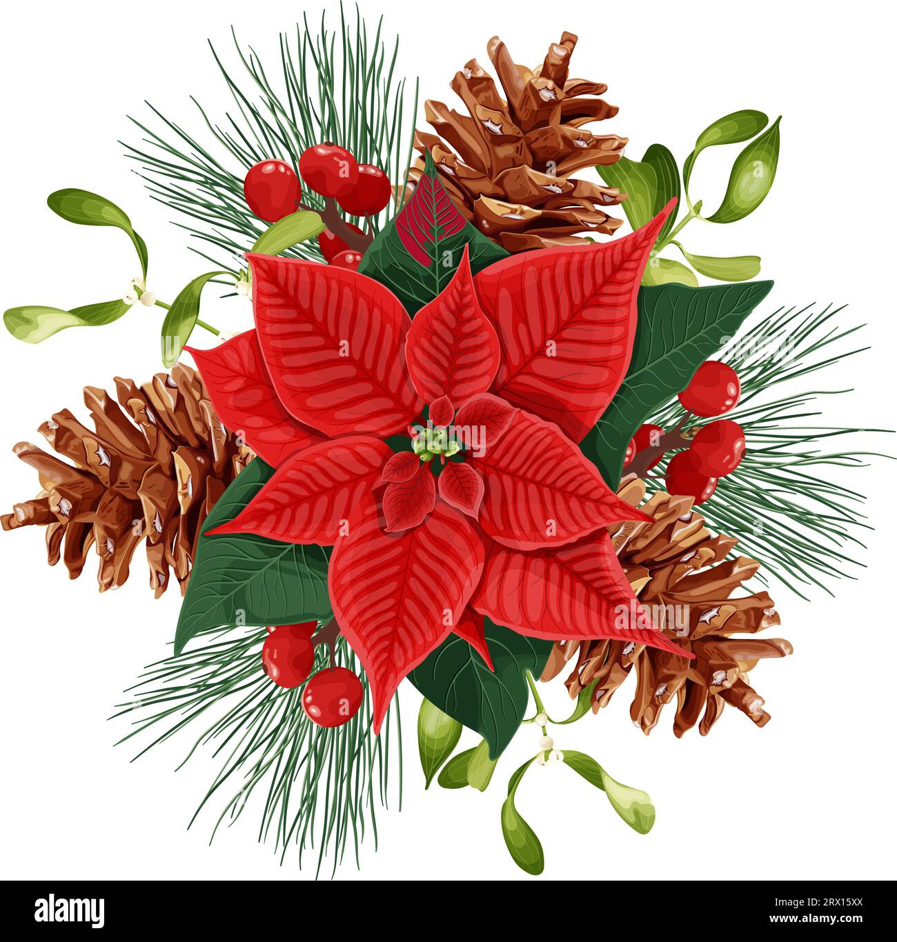 Bouquet de gui Banque d'images vectorielles - Alamy