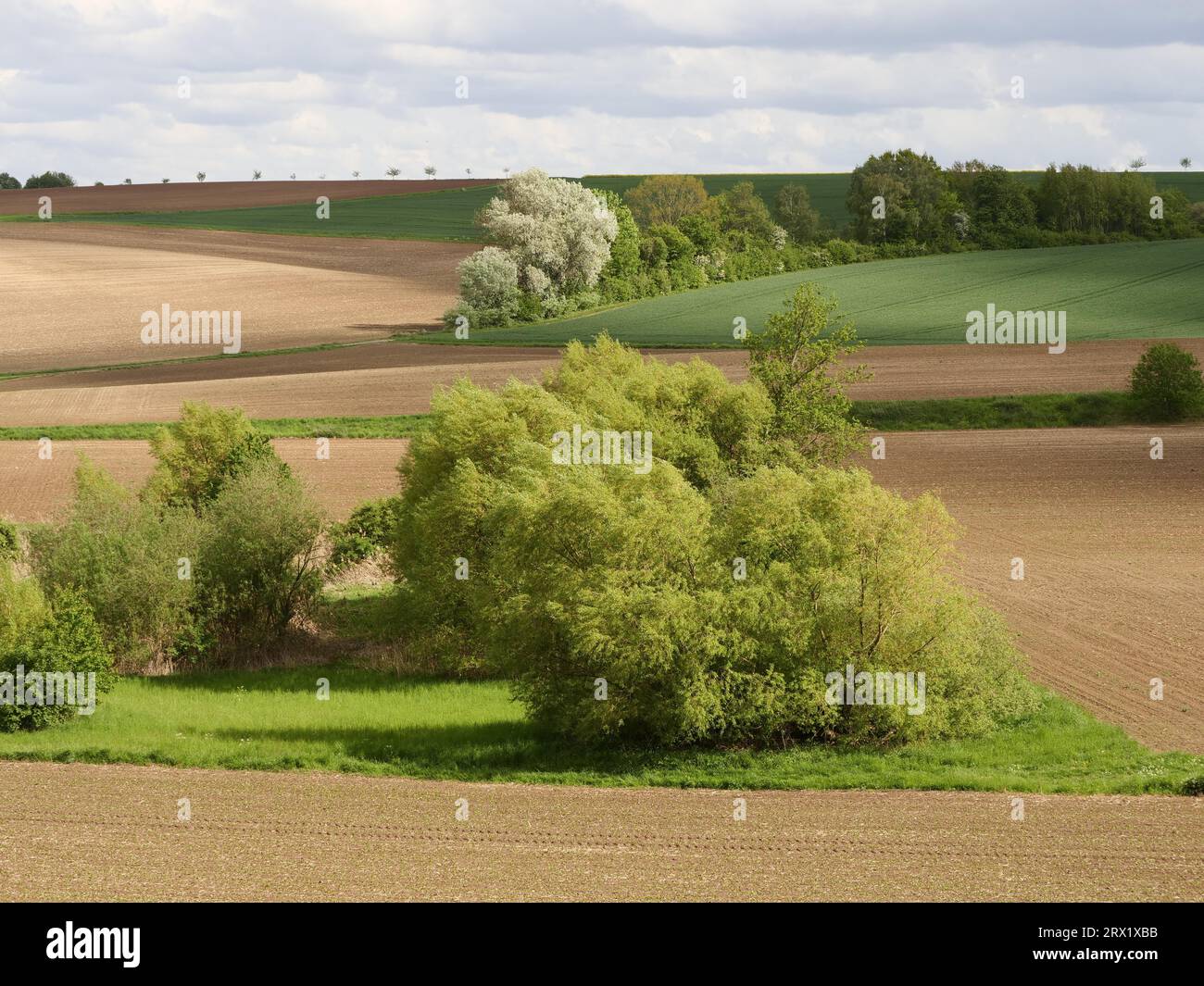 Paysage de bocage Banque de photographies et d’images à haute ...