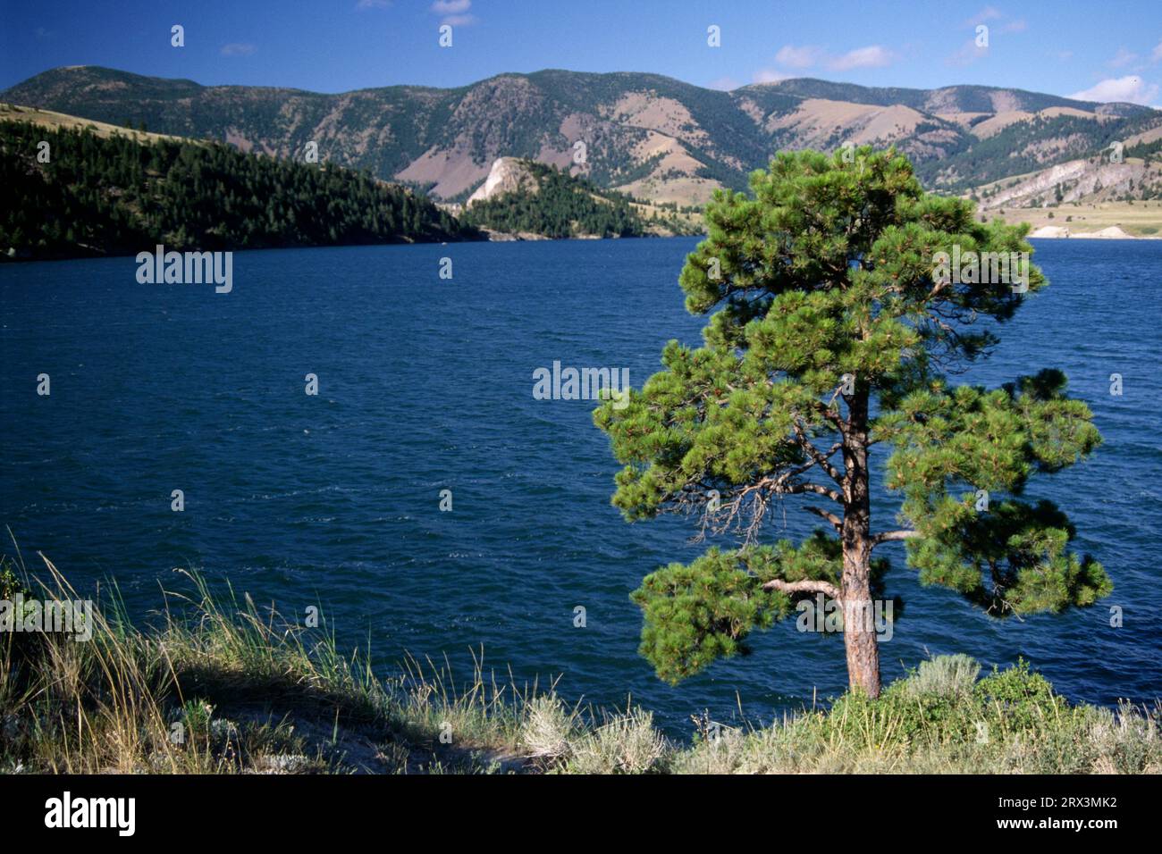 Holter lake Banque de photographies et d’images à haute résolution - Alamy