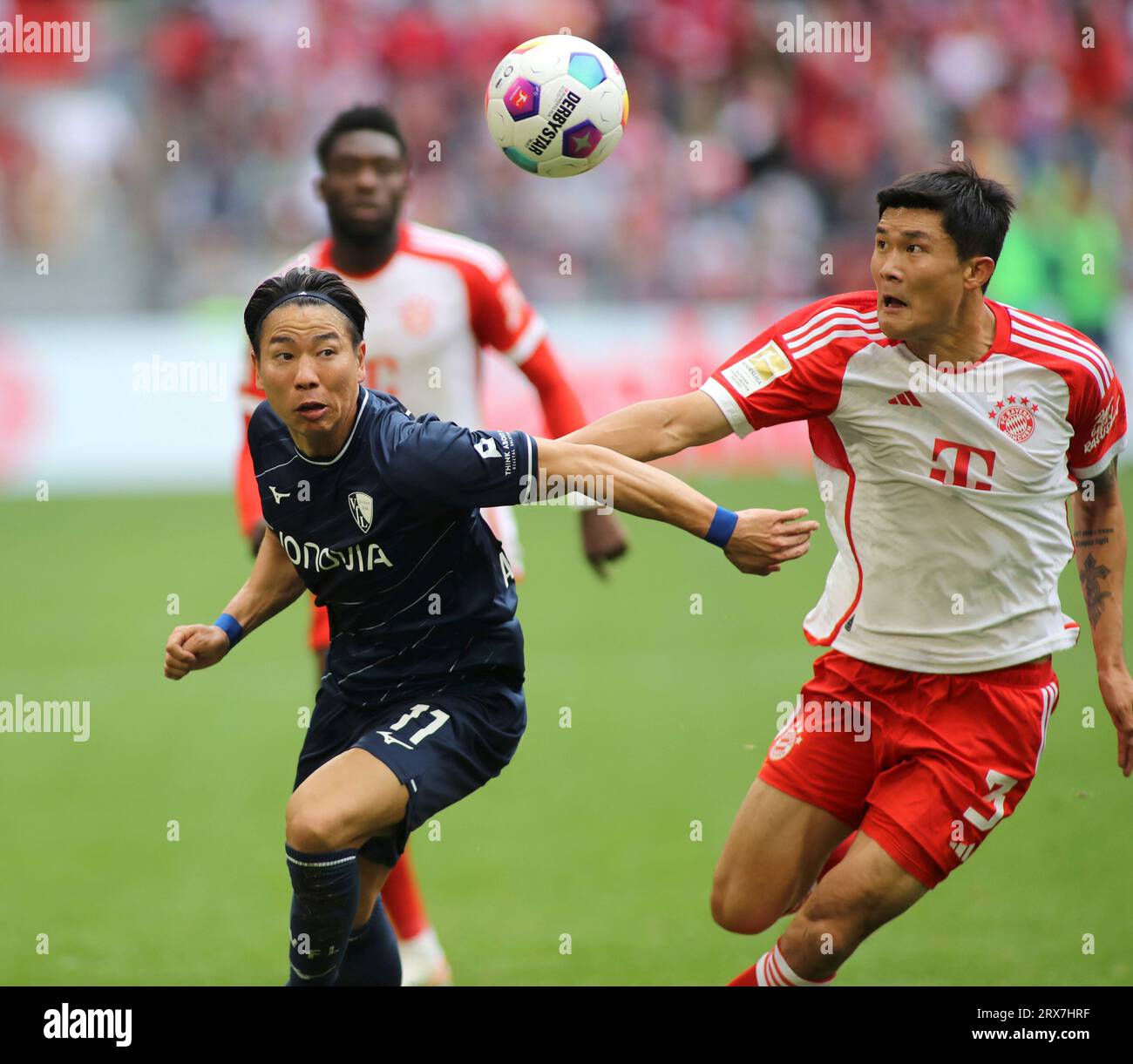 Takuma asano vfl bochum li mit minjae kim Banque de photographies et d’images à haute résolution ...