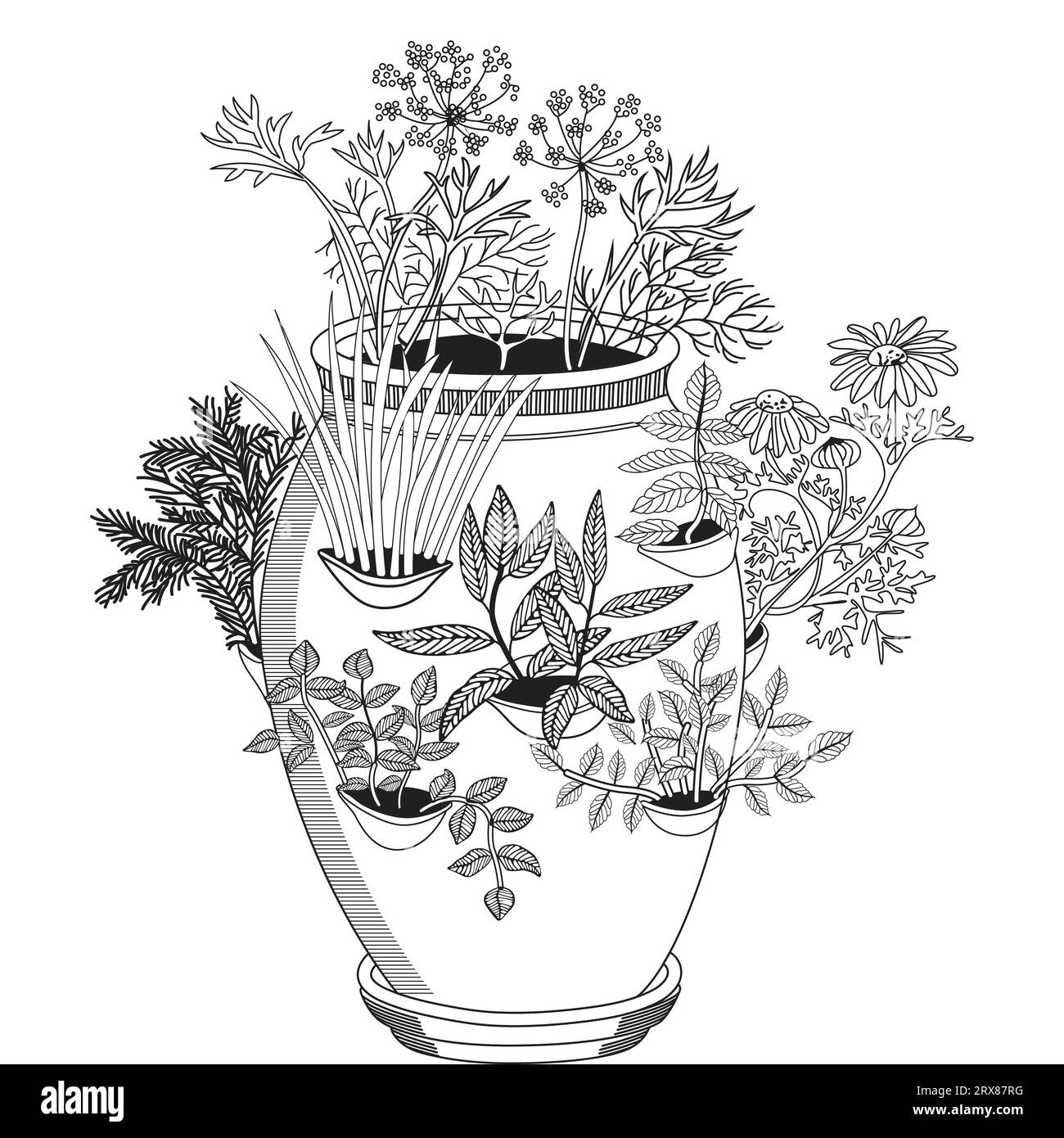 Dessin de plante en pot feuillage Banque d'images vectorielles - Alamy