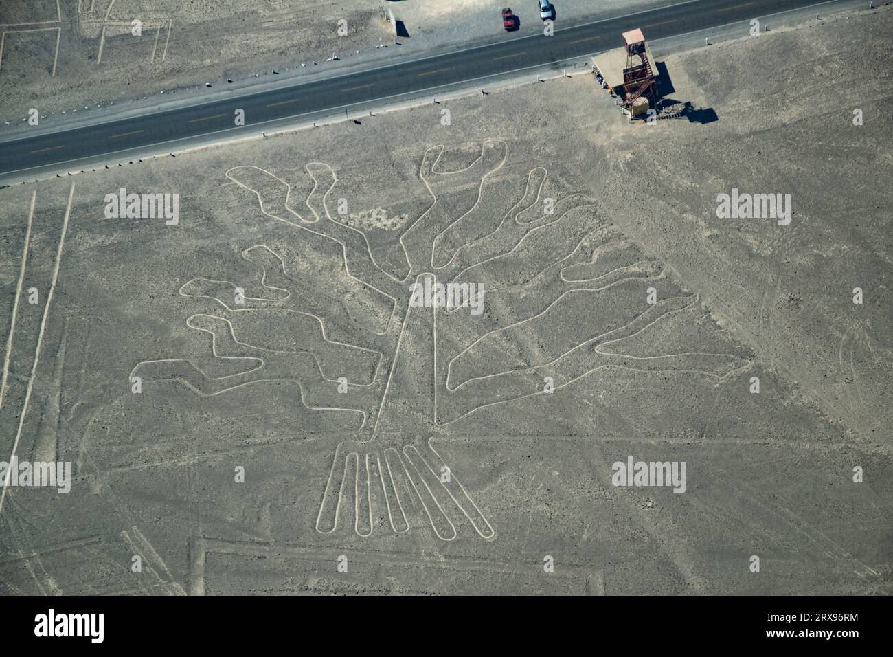 Géoglyphes nazca Banque de photographies et d’images à haute résolution ...