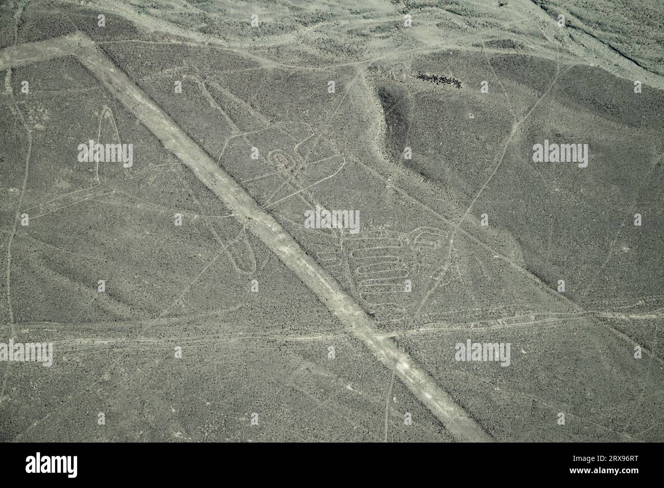 Géoglyphes nazca Banque de photographies et d’images à haute résolution ...