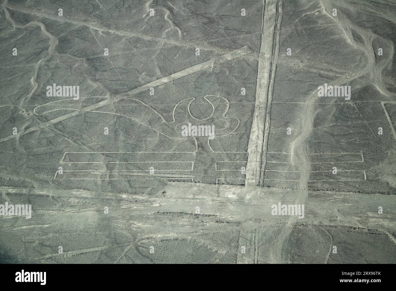 Géoglyphes nazca Banque de photographies et d’images à haute résolution ...
