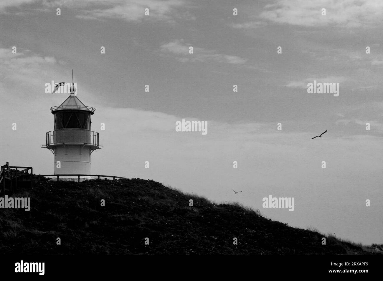 Amrum island allemagne Banque d'images noir et blanc - Alamy