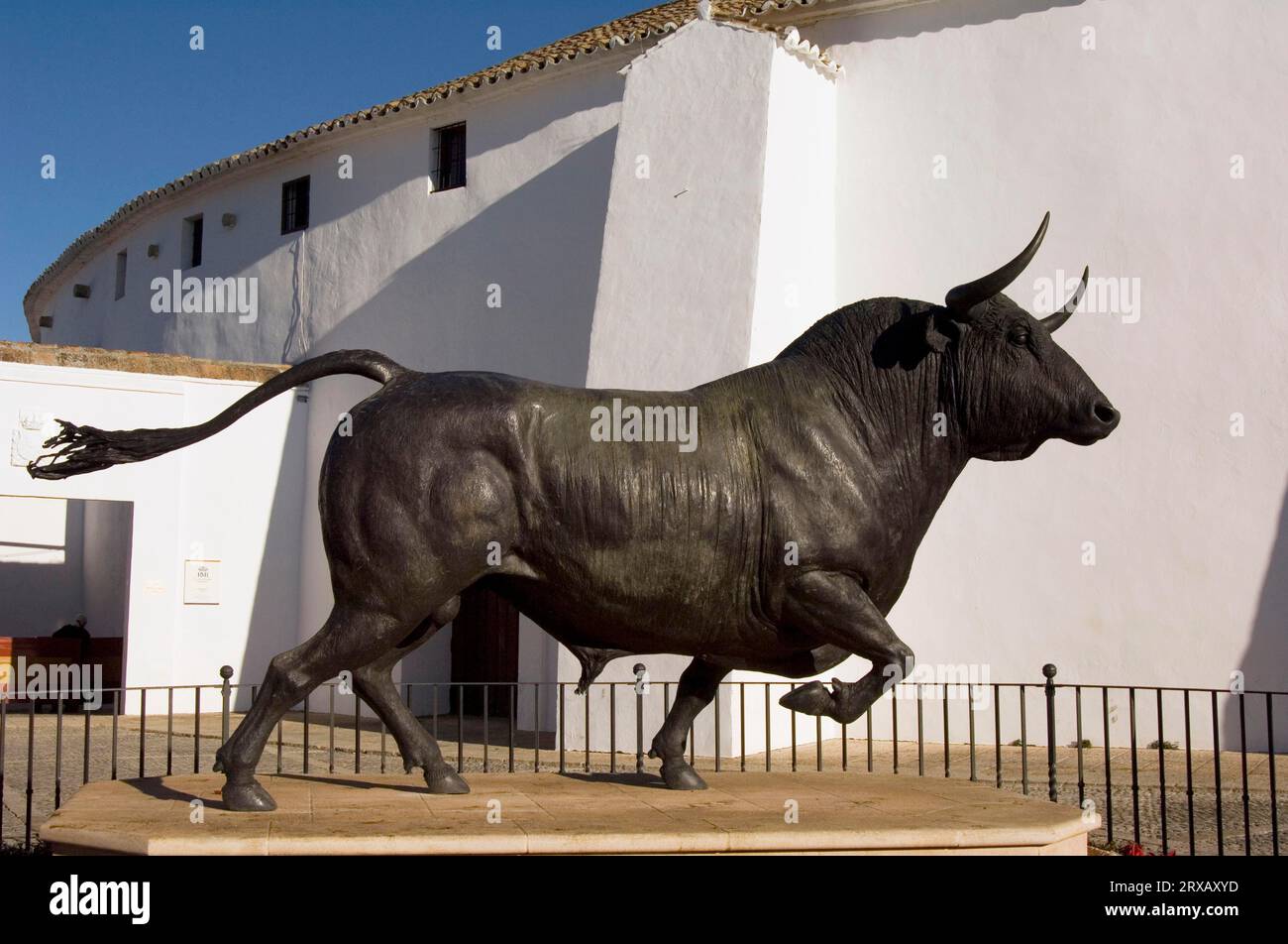 Toro de Lidia, statue de taureau devant l'arène, Ronda, Andalousie ...