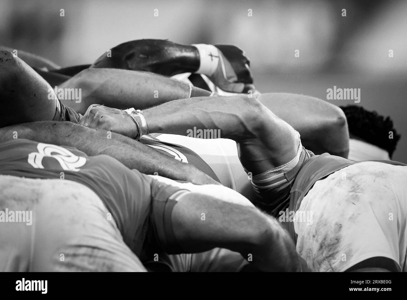 France afrique du sud Banque d'images noir et blanc - Alamy