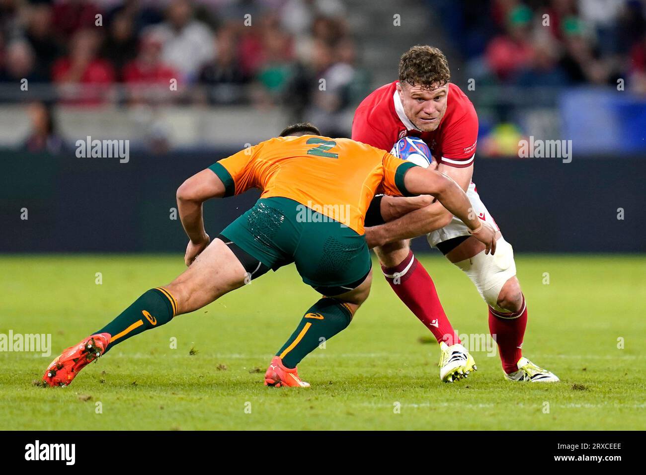 Will Rowlands (à droite) et Dave Porecki, australien, se battent pour ...