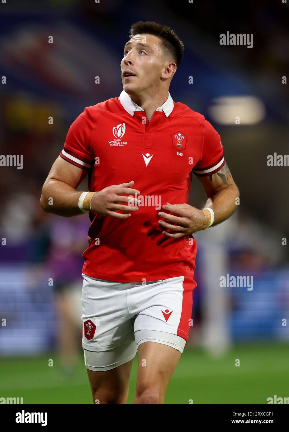 Josh Adams, du pays de Galles, regarde le match de la coupe du monde de ...