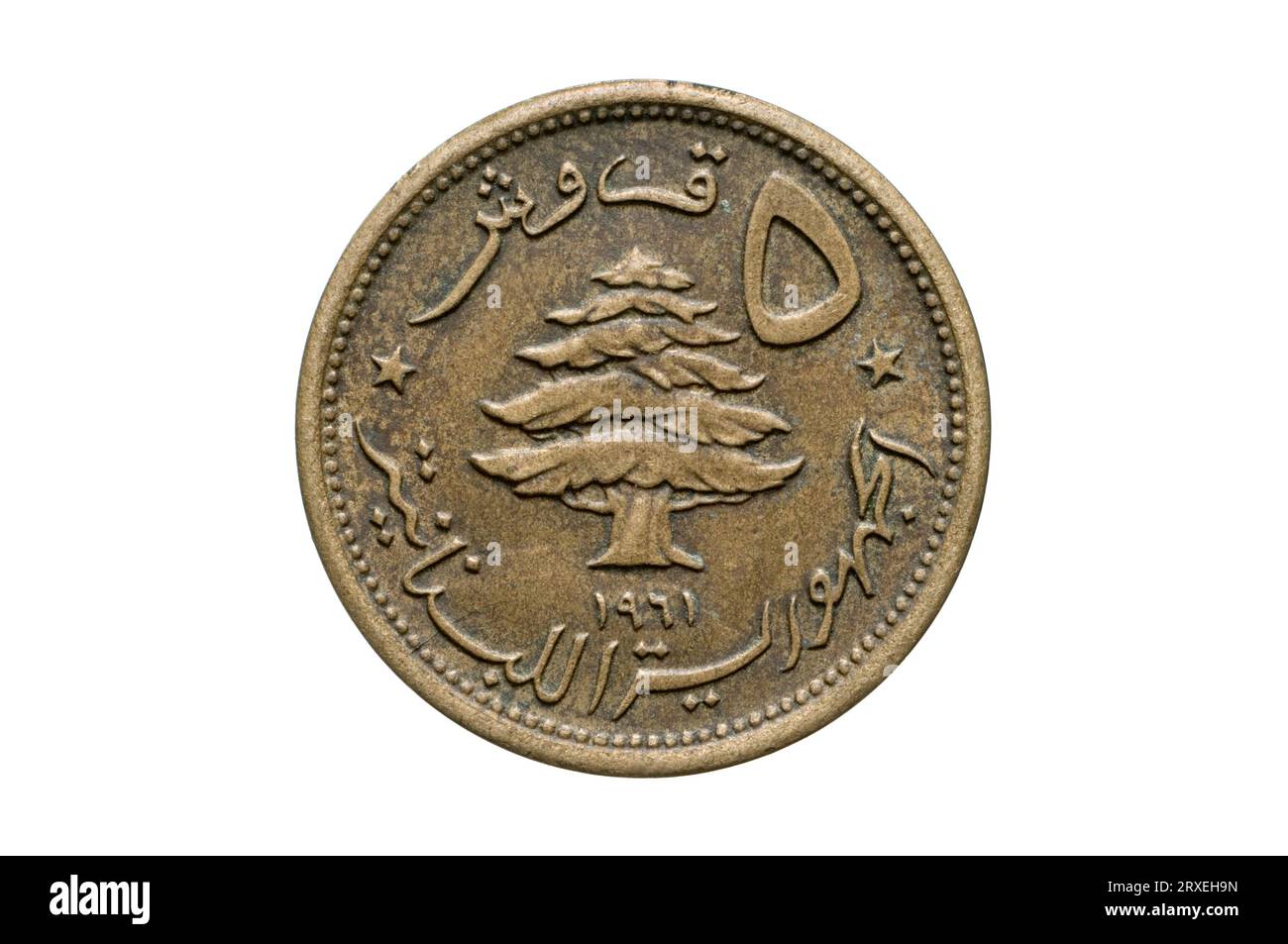 Lebanese tree Banque d'images détourées - Alamy