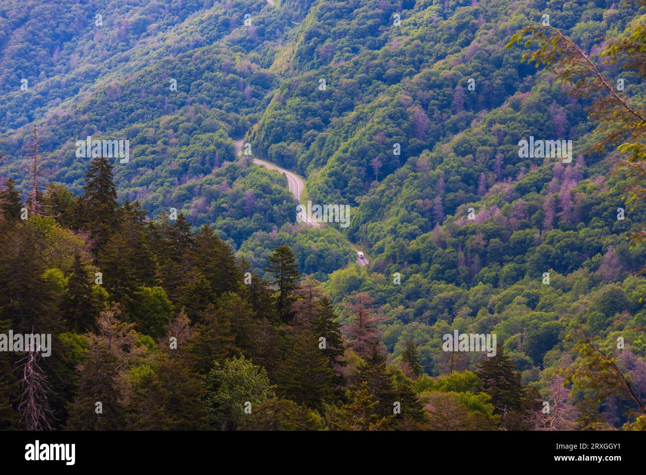 Newfound Gap Overlook dans le parc national des Great Smoky Mountains à ...