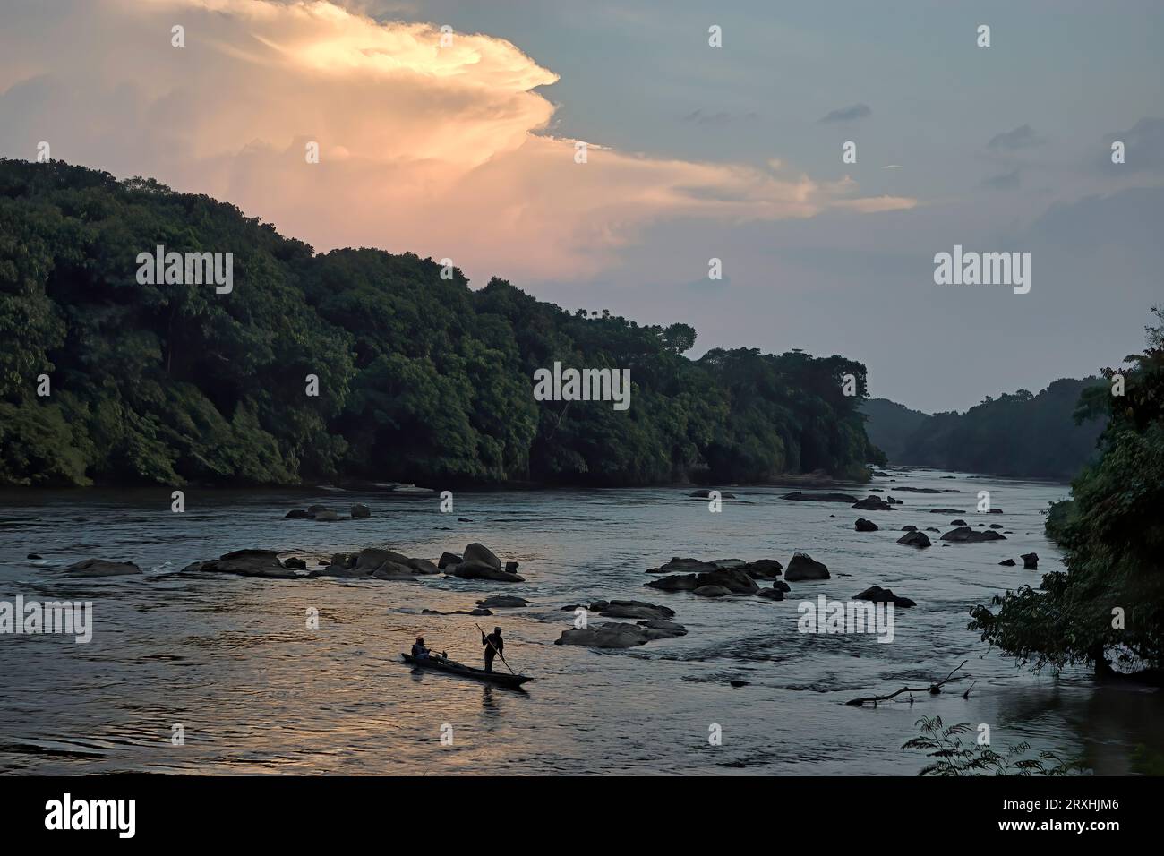 Ituri forest Banque de photographies et d’images à haute résolution - Alamy