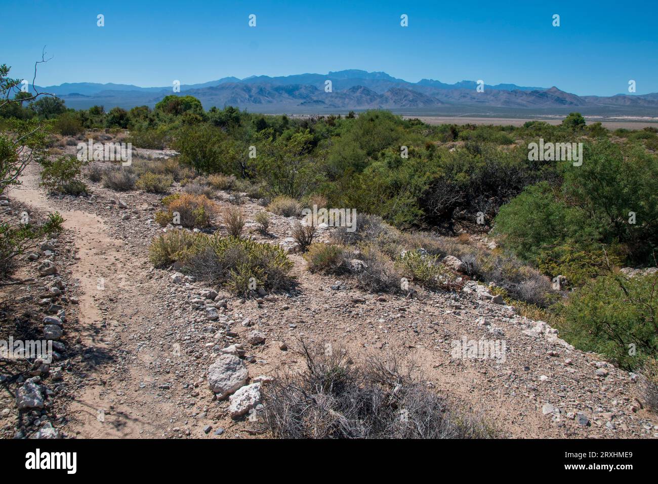Le Corn Creek Visitor Center, au nord de Las Vegas, NV, informe les ...