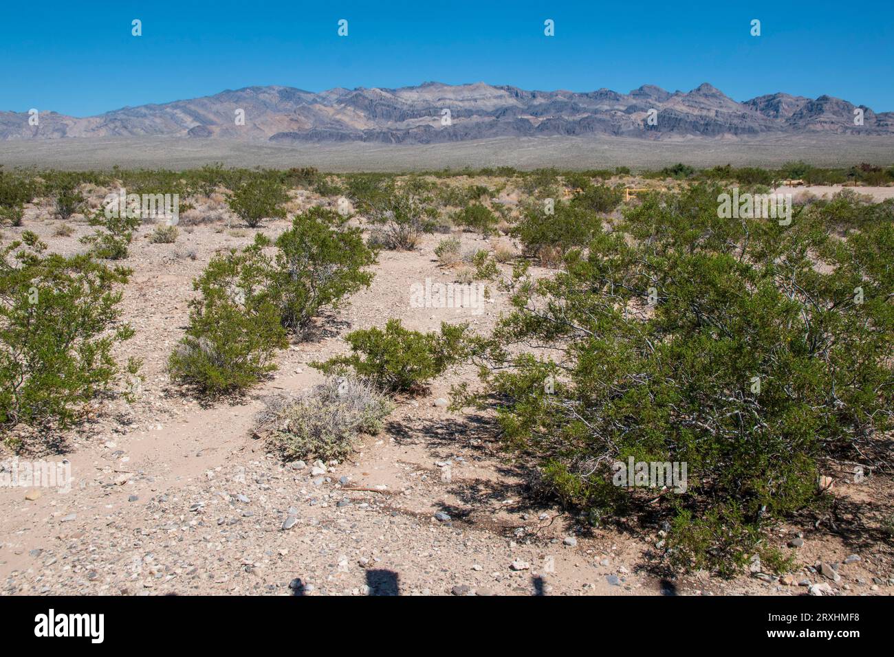 Le Corn Creek Visitor Center, au nord de Las Vegas, NV, informe les ...