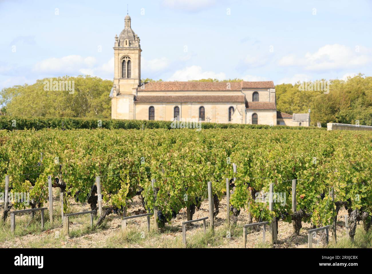 Margaux dans le Médoc, le vignoble le plus célèbre au monde. Vigne ...