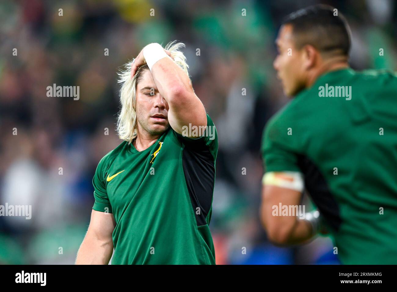 Francois FAF de Klerk lors de la coupe du monde RWC 2023, match de ...