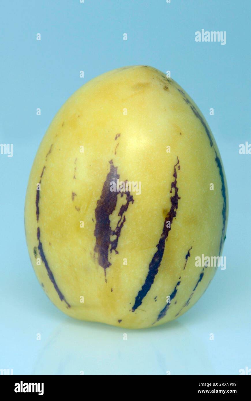 Poire melon solanum muricatum Banque de photographies et d’images à ...