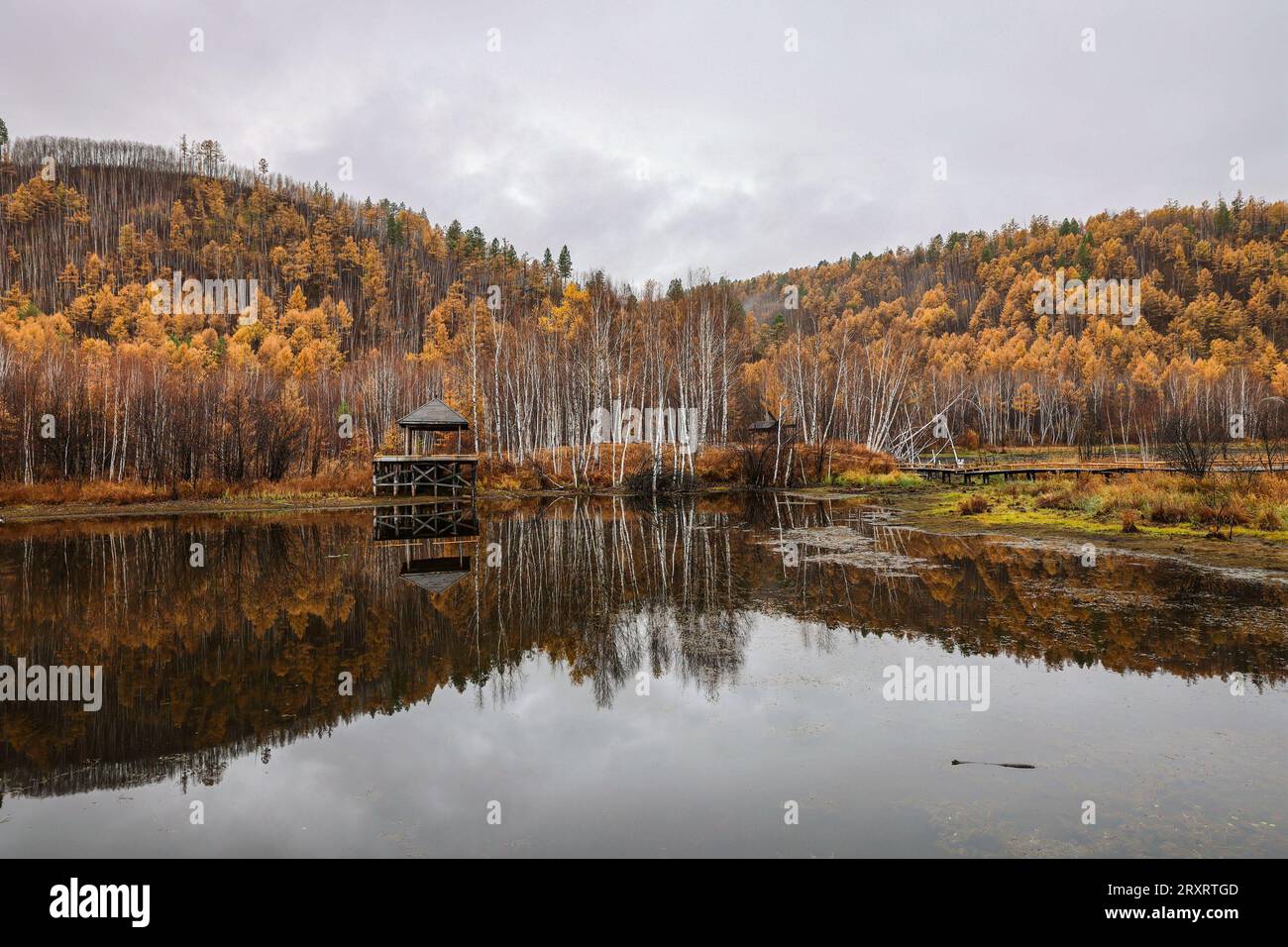 GREAT KHINGAN, CHINE - 26 SEPTEMBRE 2023 - paysages d'automne de ...