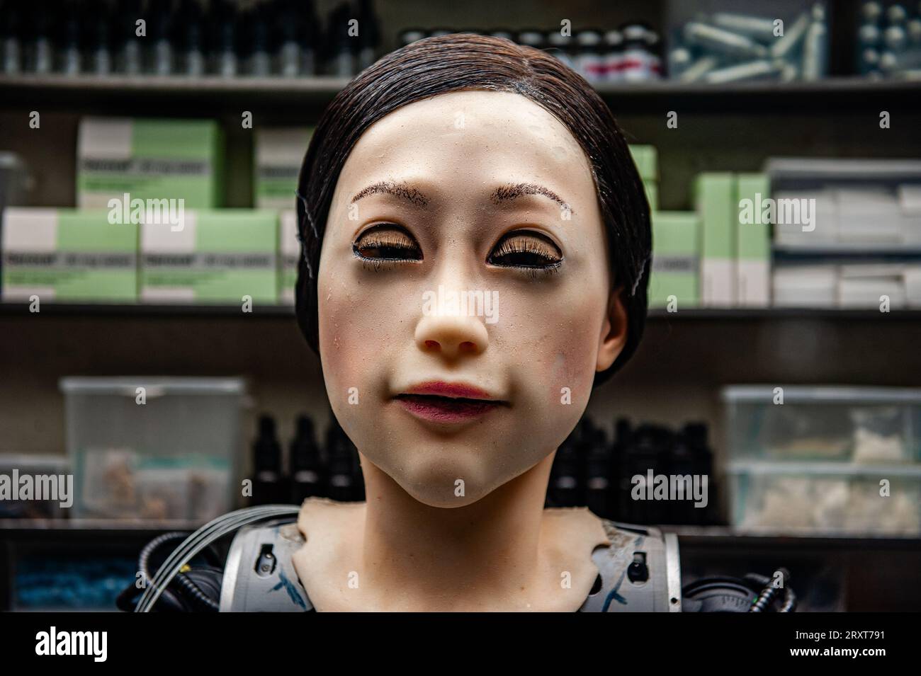 13 septembre, Leiden. Dans son travail, le théatre et artiste visuel néerlandais Dries Verhoeven ...