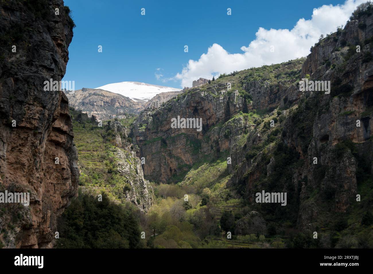 Liban paysage Banque de photographies et d’images à haute résolution - Alamy