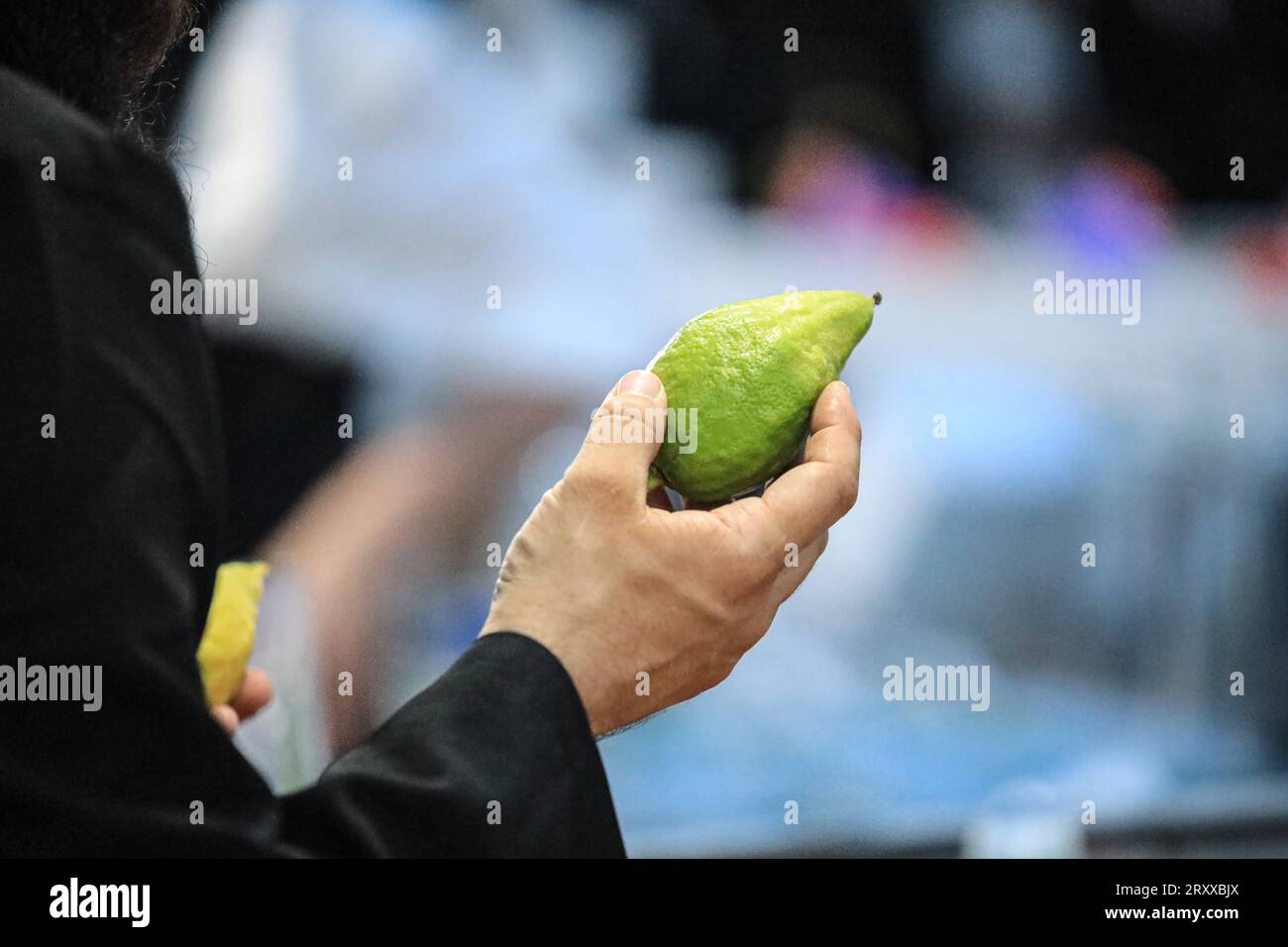 Préparations de Soukkot à Jérusalem un homme juif orthodoxe inspecte un ...