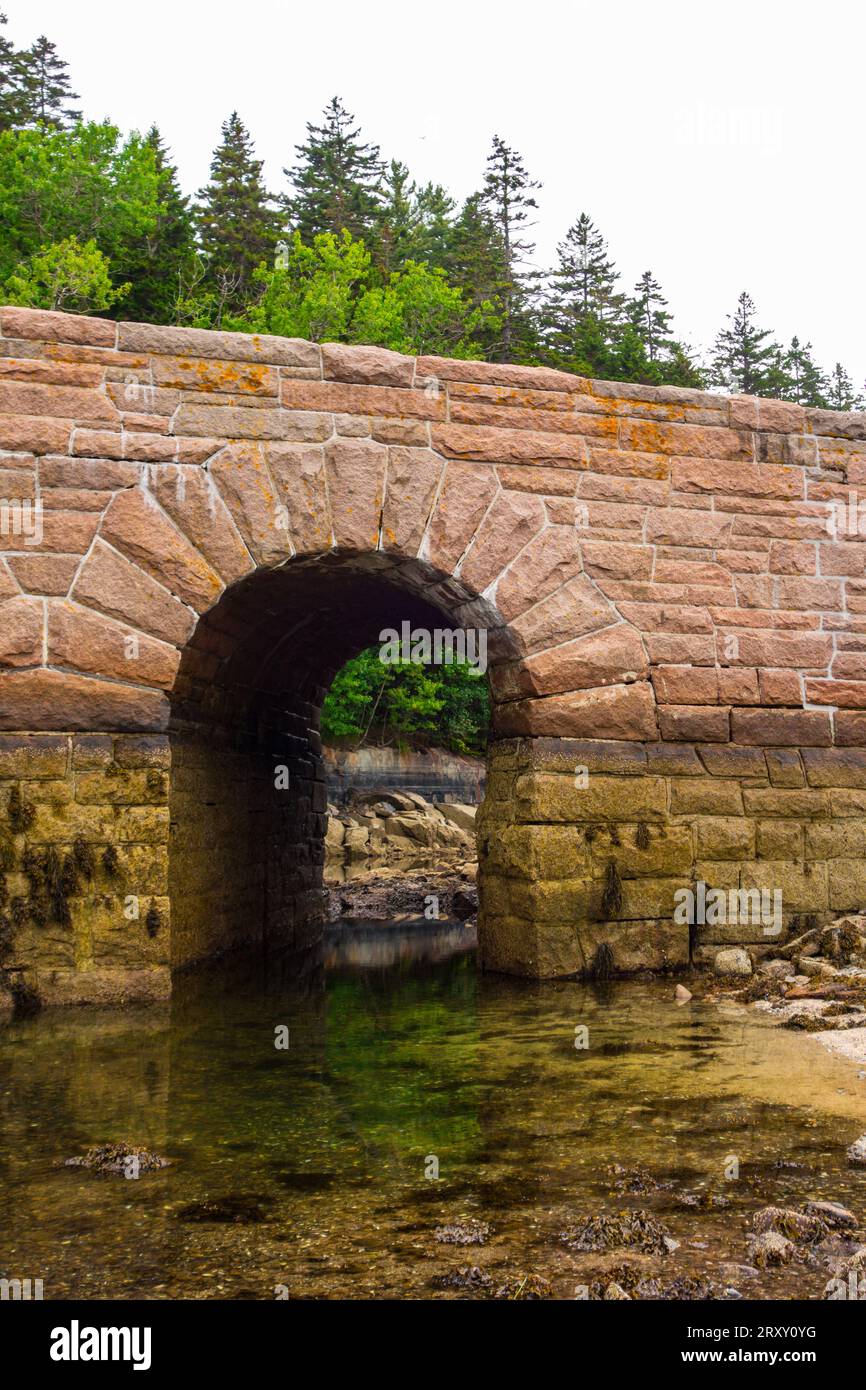 Pont voûté dans le parc national Acadia. Photo prise en été par un jour ...