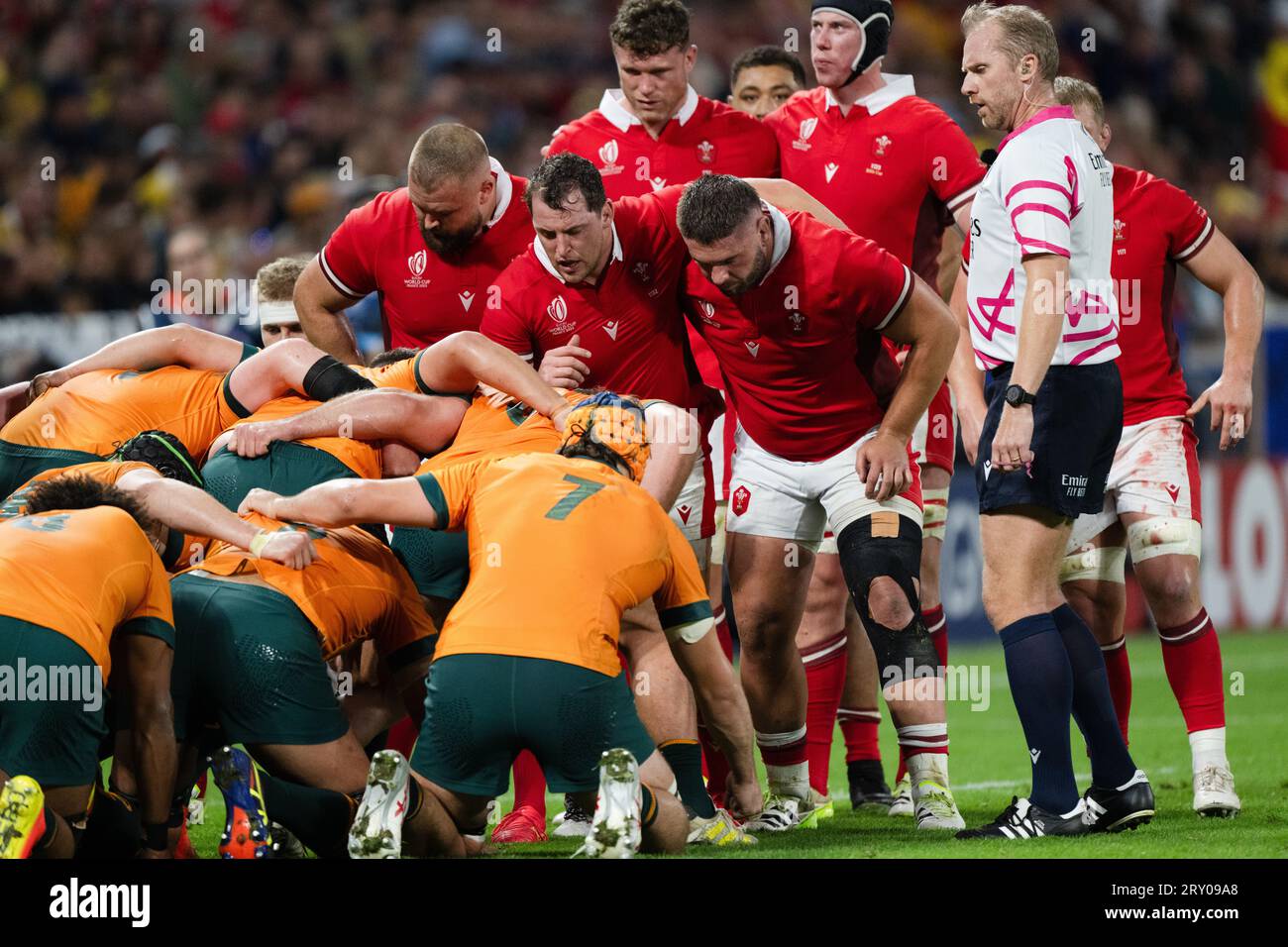 Joueurs du pays de Galles lors du match de la coupe du monde de rugby ...