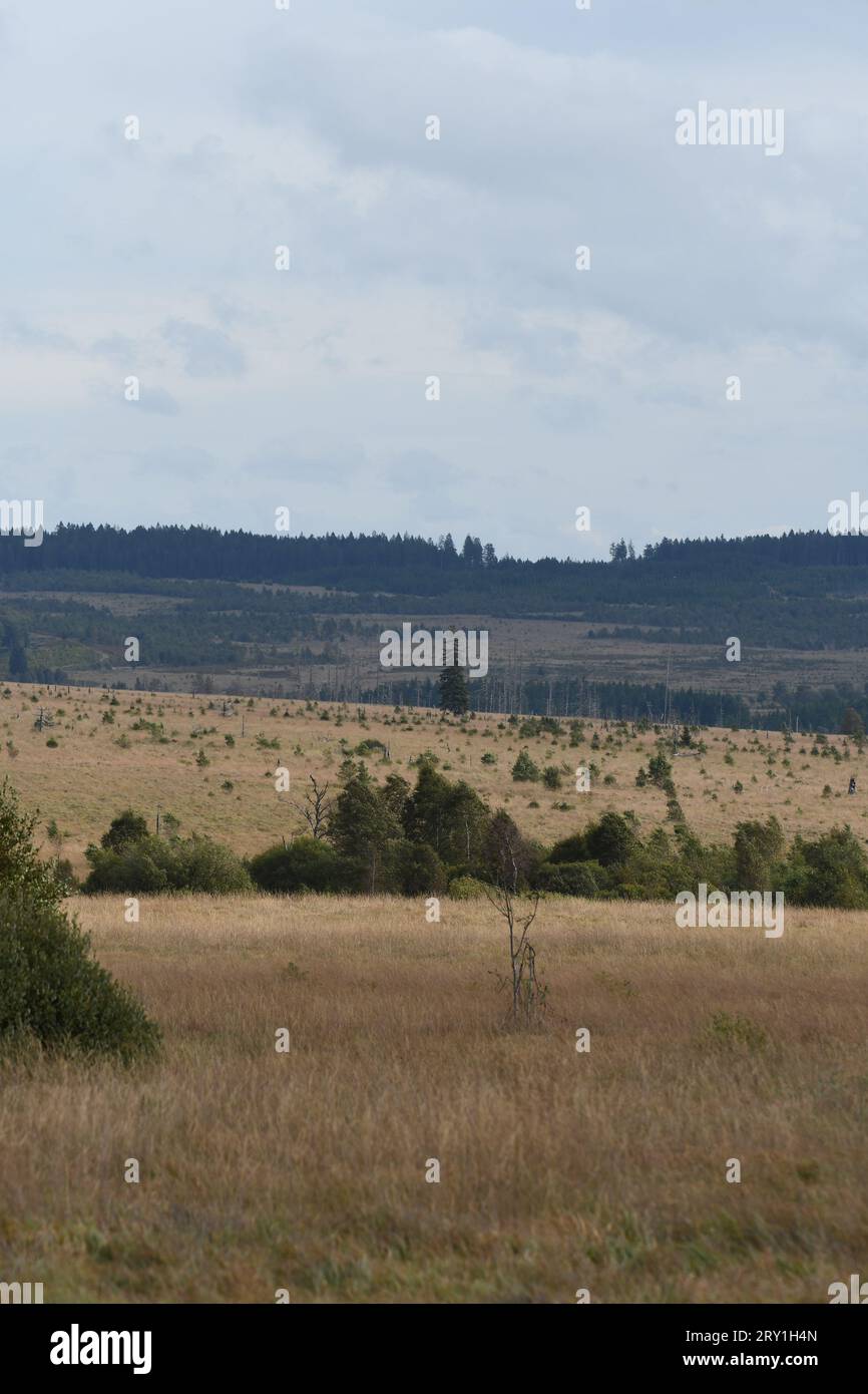 High fens Banque de photographies et d’images à haute résolution - Alamy